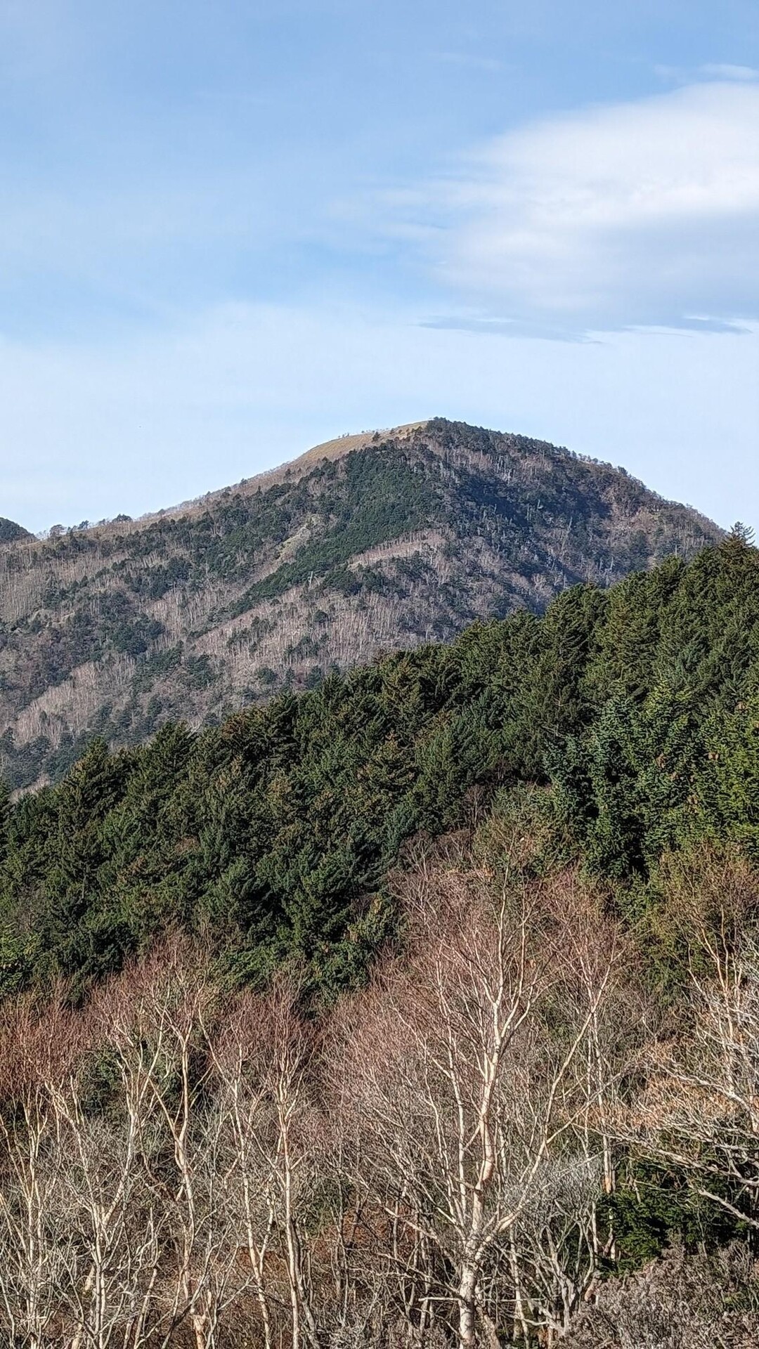 高原山 ~釈迦ヶ岳、中岳 ~ / nonnon99さんの高原山・釈迦ヶ岳・鶏頂山の活動データ | YAMAP / ヤマップ