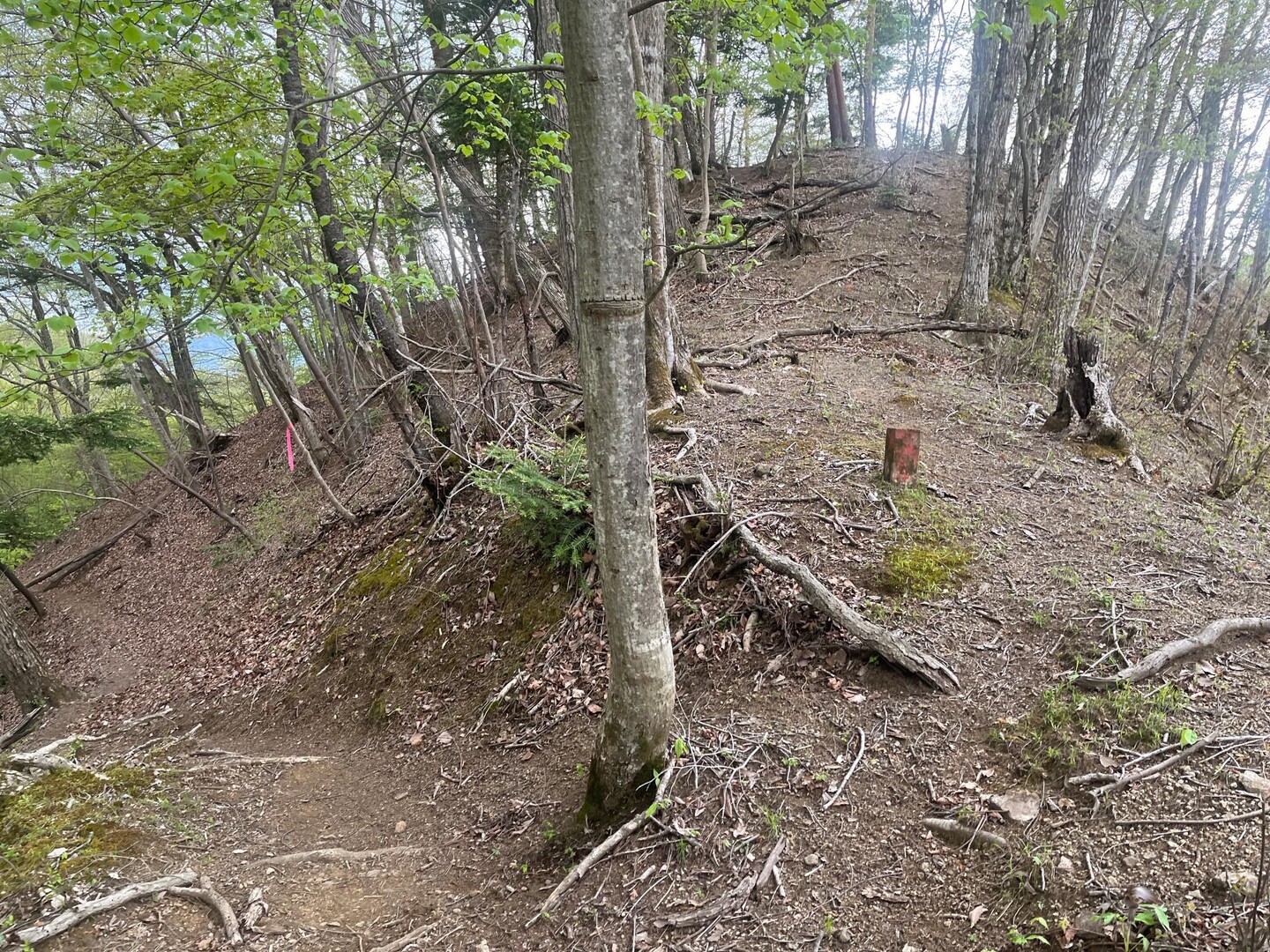 mskふぅさんの投稿したフィールドメモ | YAMAP / ヤマップ