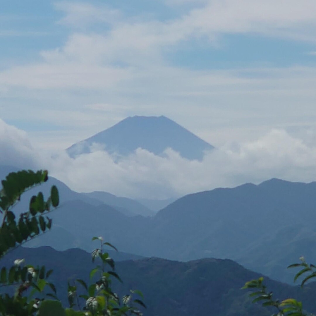 高尾山 / junjunさんの高尾山・陣馬山・景信山の活動データ | YAMAP / ヤマップ