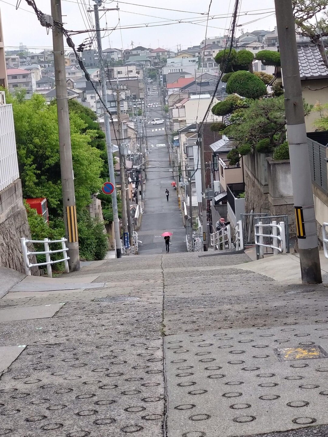 ウォーキング-2024-05-31 / kinu235（きぬ）さんの六甲山・長峰山・摩耶山の活動データ | YAMAP / ヤマップ