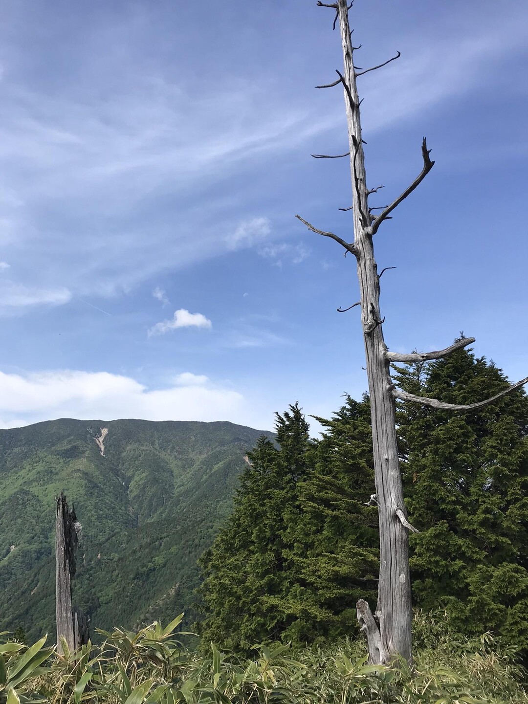 恵那山⛰ 神坂峠から🌤 / kunitaroさんの恵那山・大判山・神坂山の活動データ | YAMAP / ヤマップ