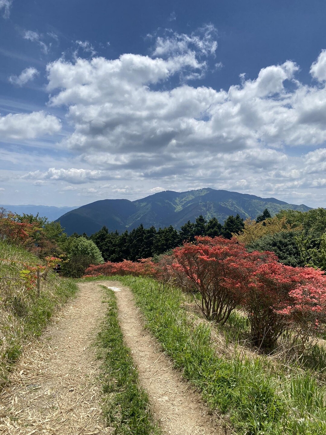 金剛山・葛木岳・湧出岳・大和葛城山 / 𝙴𝚁𝙸さんの金剛山・二上山・大和葛城山の活動データ | YAMAP / ヤマップ
