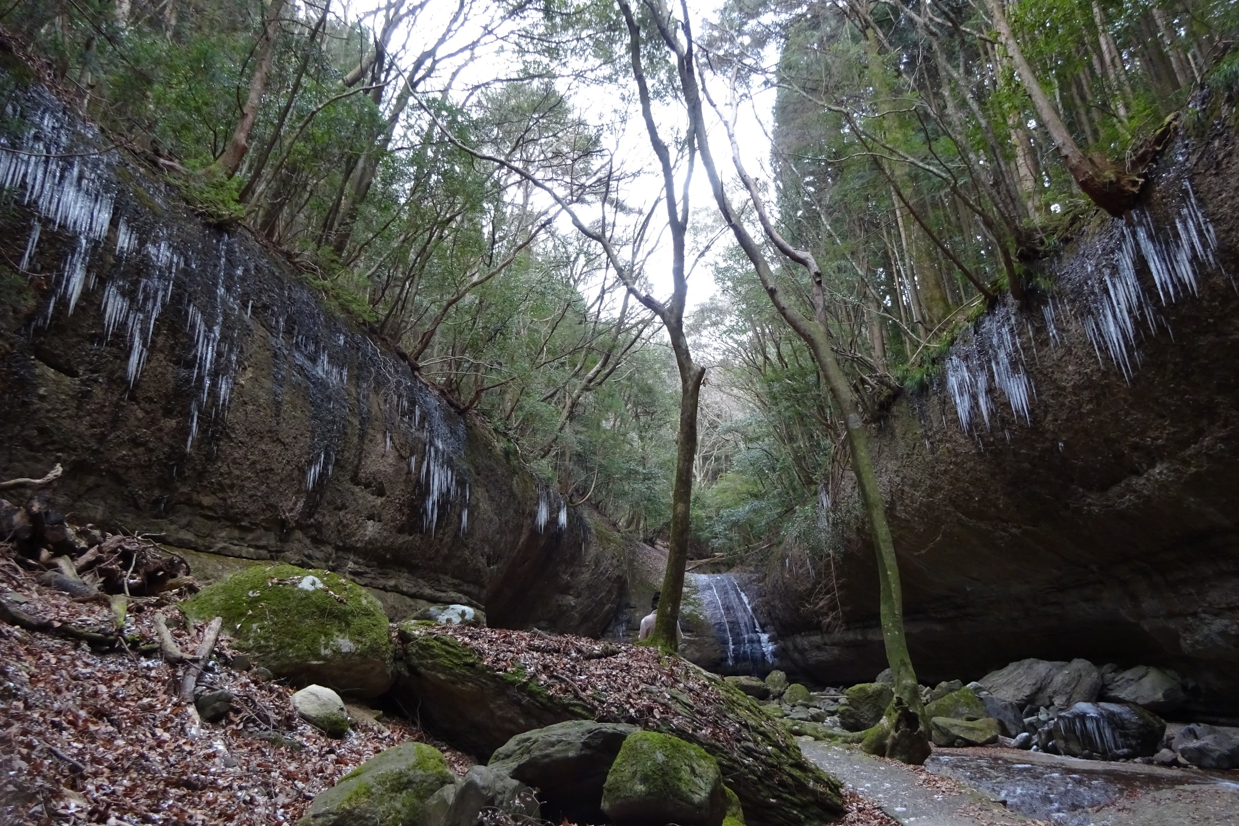 白猪の滝〜幻の根無山〜滑川渓谷 / みかんちゃんさんの皿ヶ嶺・梅ヶ谷山・うなめごの活動データ | YAMAP / ヤマップ