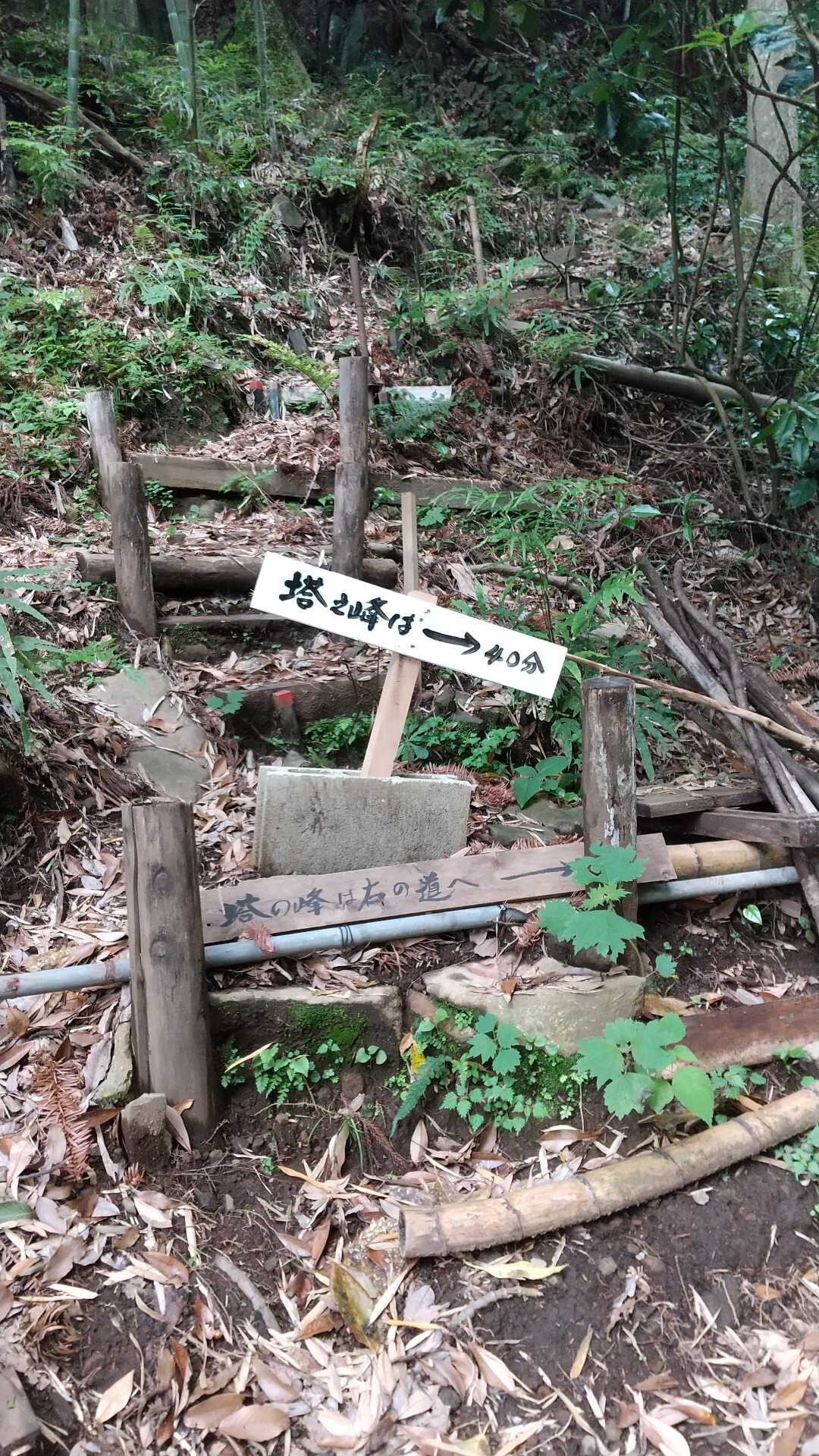 Hectorさんの投稿したフィールドメモ | YAMAP / ヤマップ