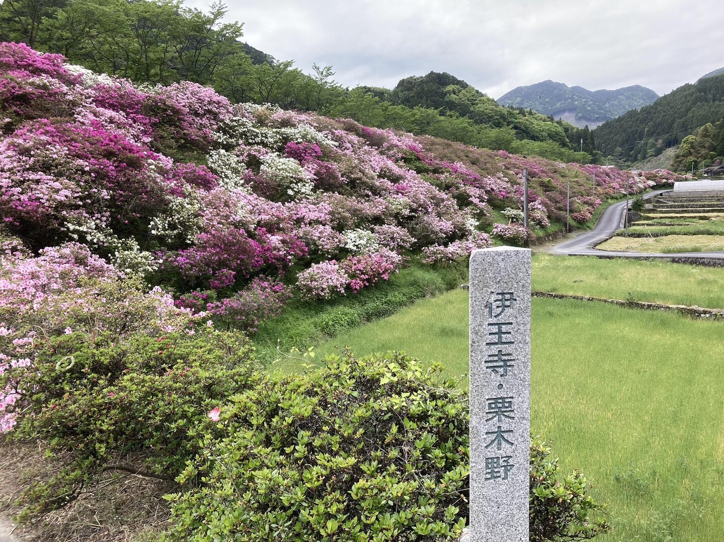 今日は鬼滅の刃 巡礼登山ということで岳滅... / トウカイテイオーさんのモーメント | YAMAP / ヤマップ
