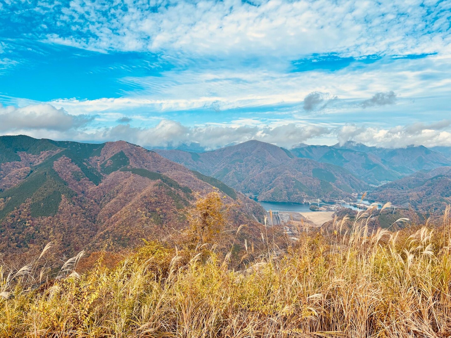 大野山(谷峨駅ピストン) / Kozさんの高松山・大野山の活動データ | YAMAP / ヤマップ