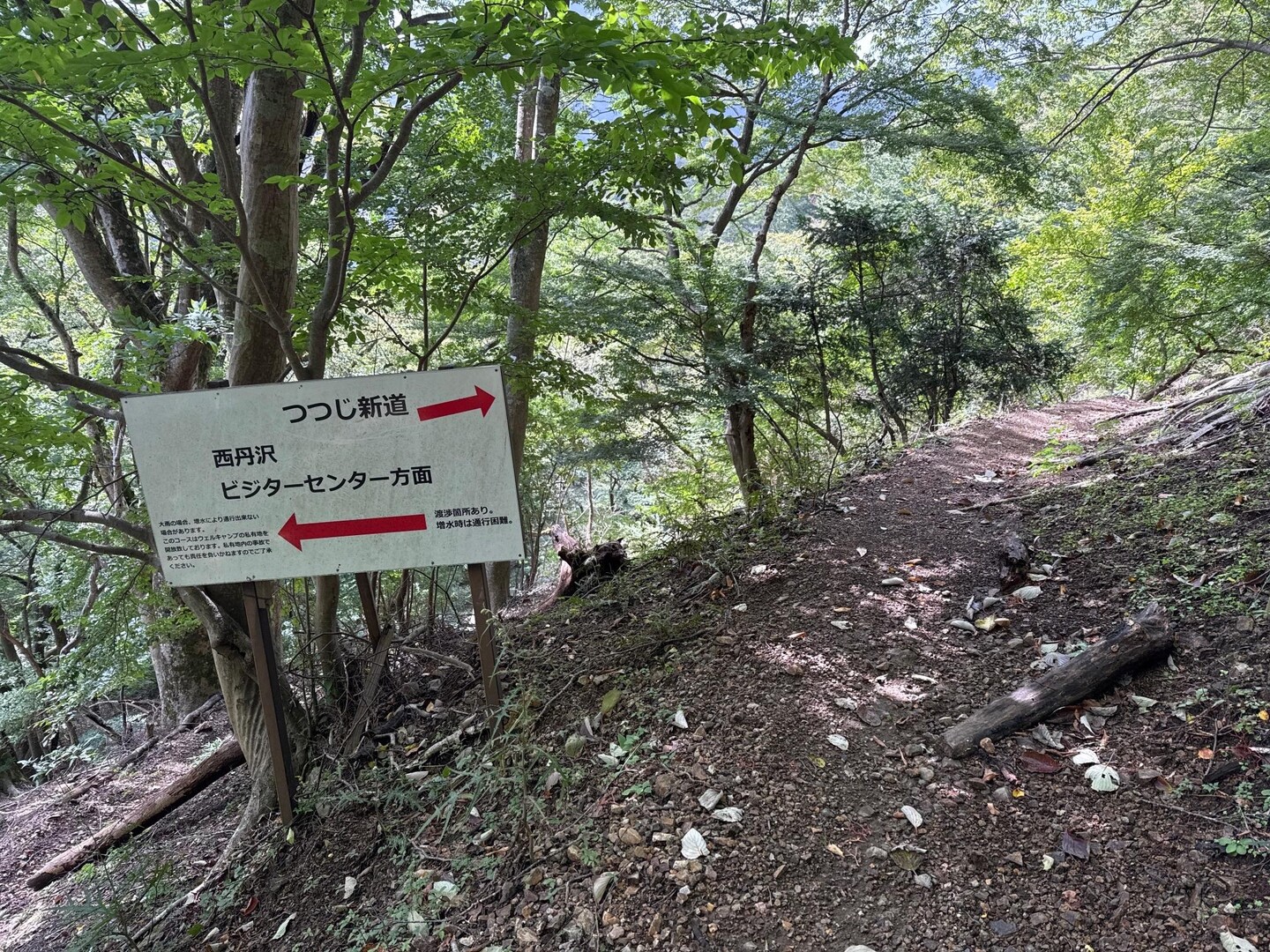 湘南369さんの投稿したフィールドメモ | YAMAP / ヤマップ