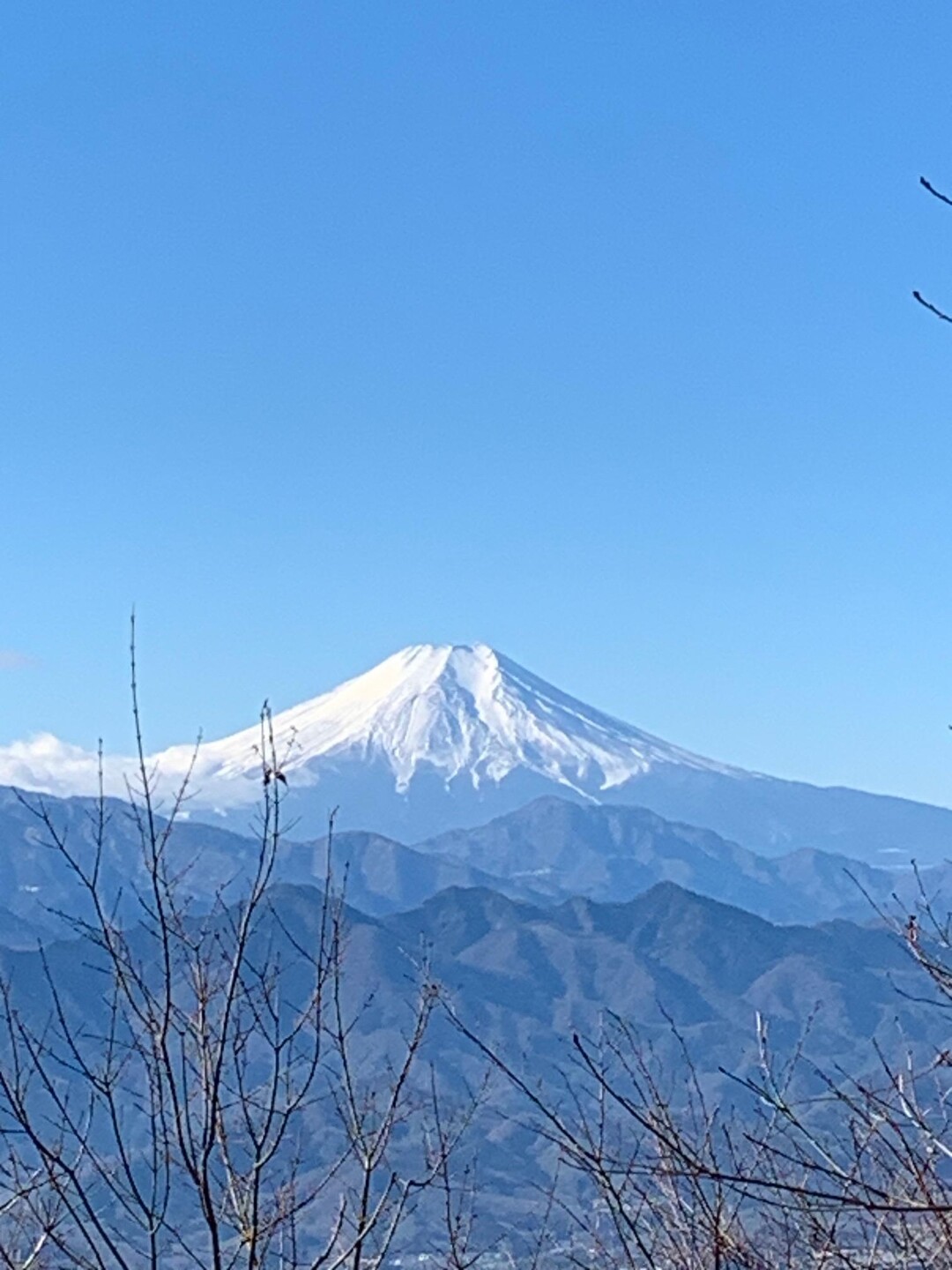 笹尾根を歩こう♬後半戦 / harumiさんの生藤山の活動データ | YAMAP / ヤマップ