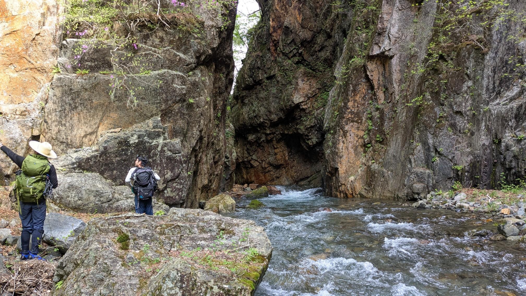 利根川水系 鬼怒川 支流 無砂谷（むさだに）沢 沢歩（さわんぽ） / kkr173さんの田代山・帝釈山の活動データ | YAMAP / ヤマップ