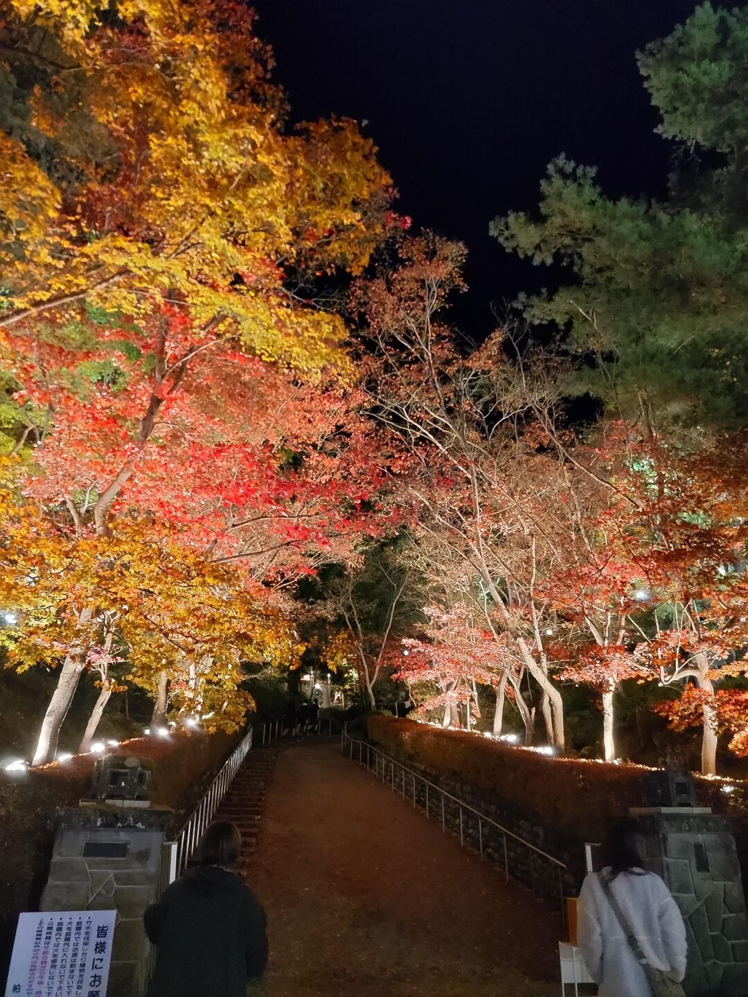 今日は奥さん休みだったので娘も一緒に越後... / tamuさんのモーメント | YAMAP / ヤマップ