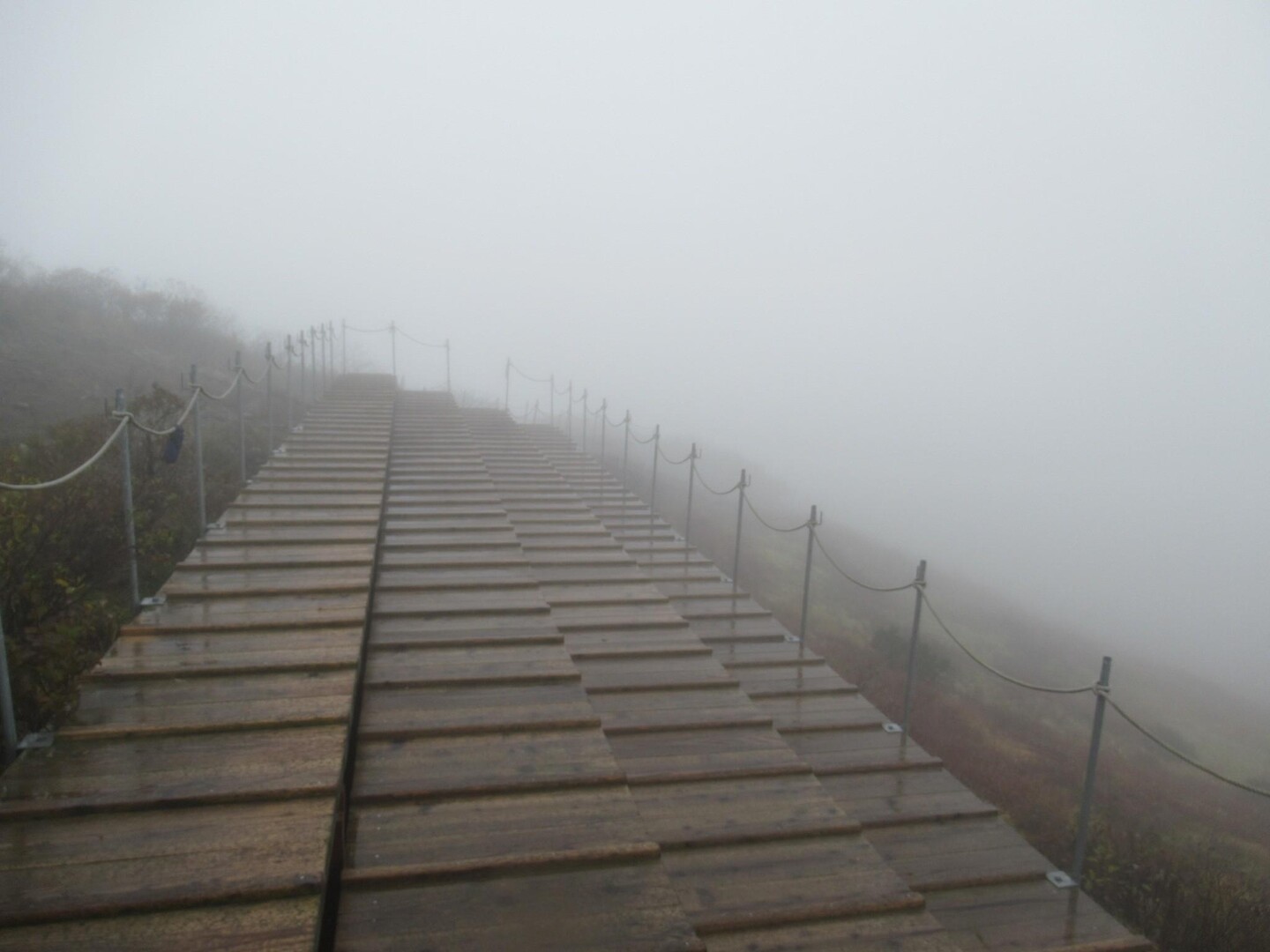 大山 ☔雨のち雹🧊 / kenkenさんの大山・甲ヶ山・野田ヶ山の活動データ | YAMAP / ヤマップ