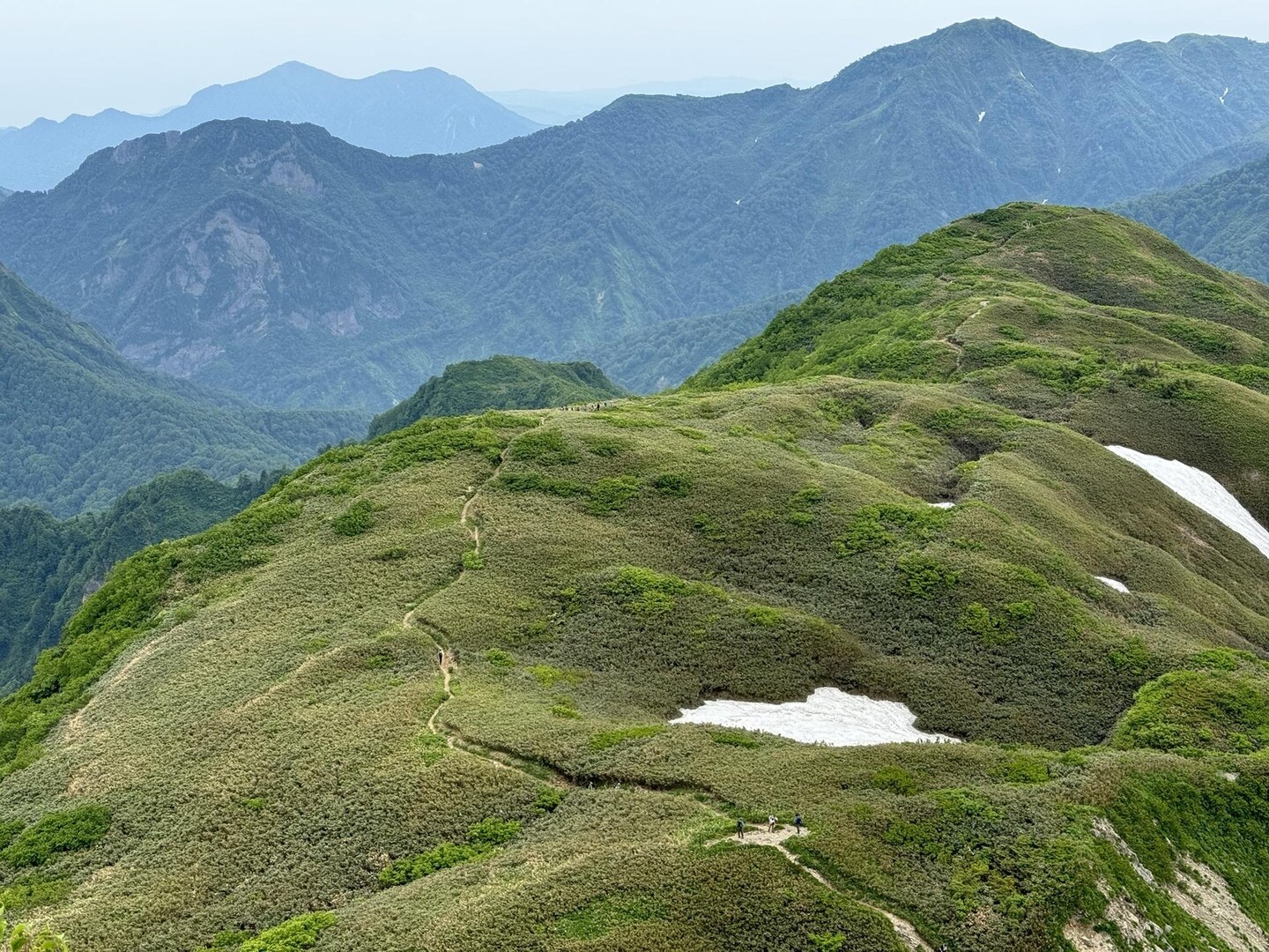 梅雨入り目前の雨飾山 / TARUMIさんの雨飾山・大渚山・天狗原山・戸倉山の活動データ | YAMAP / ヤマップ