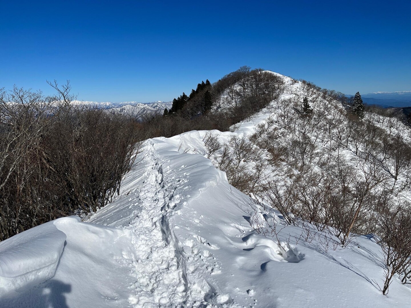 貝月山〜シーズン初の雪遊び🙂 / clearkkさんの貝月山の活動データ | YAMAP / ヤマップ