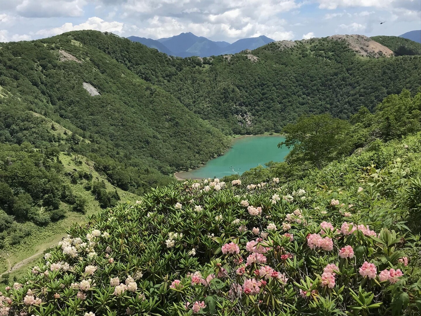 日光白根山・座禅山-2023-07-16 / Ku-2さんの日光白根山・五色山・錫ヶ岳の活動データ | YAMAP / ヤマップ