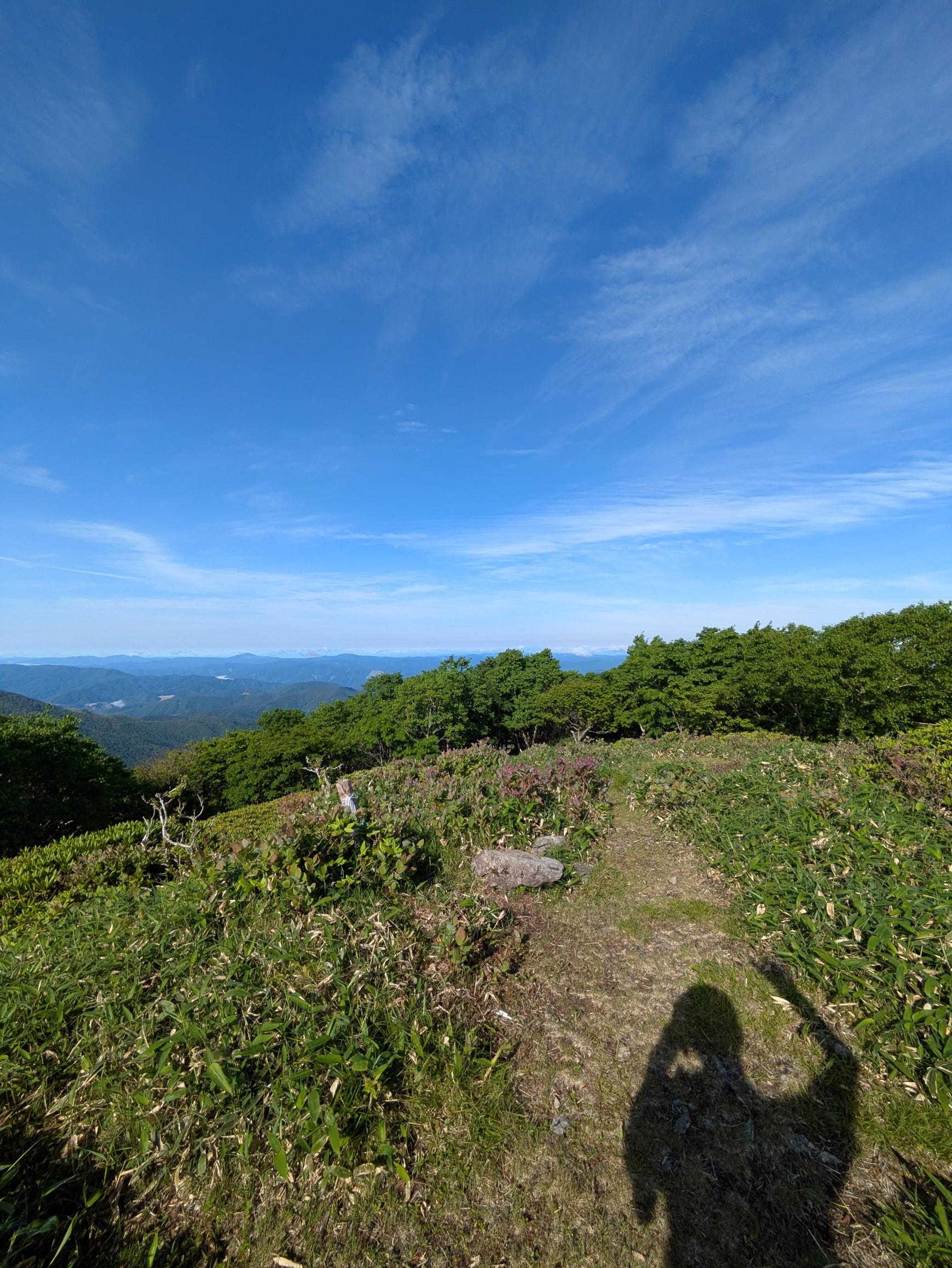 愛染山 / ryo_chiroさんの五葉山・愛染山の活動データ | YAMAP / ヤマップ