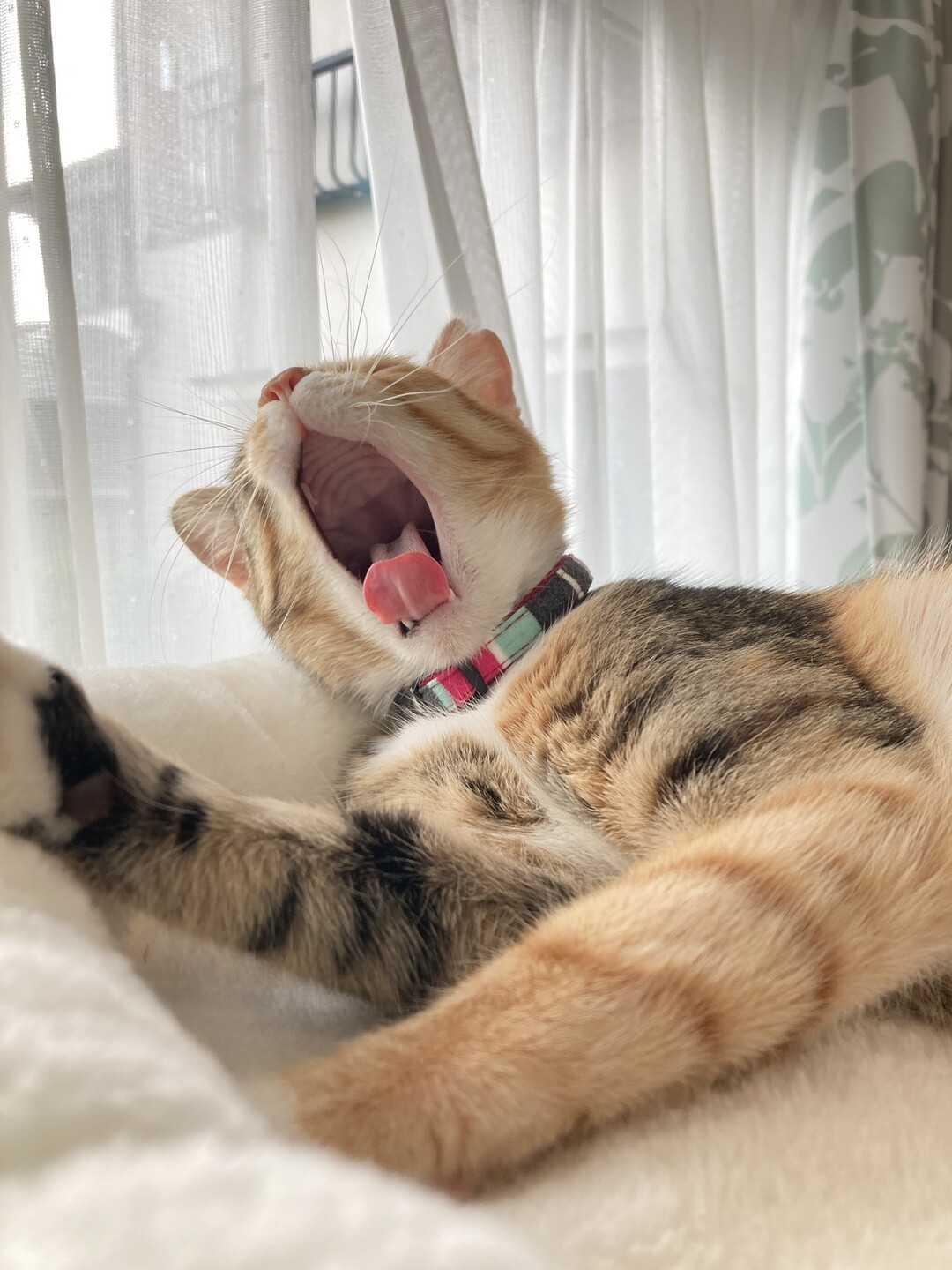 Masakiのページ | YAMAP / ヤマップ