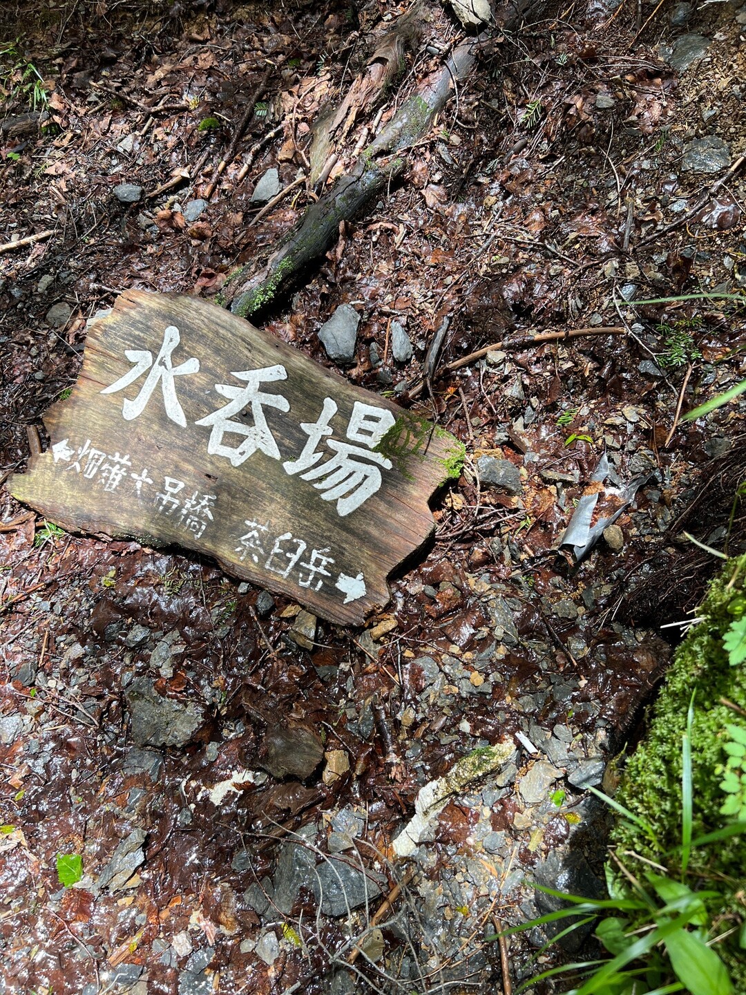 Hal（のぼるたべるあそ部）さんの投稿したフィールドメモ | YAMAP / ヤマップ