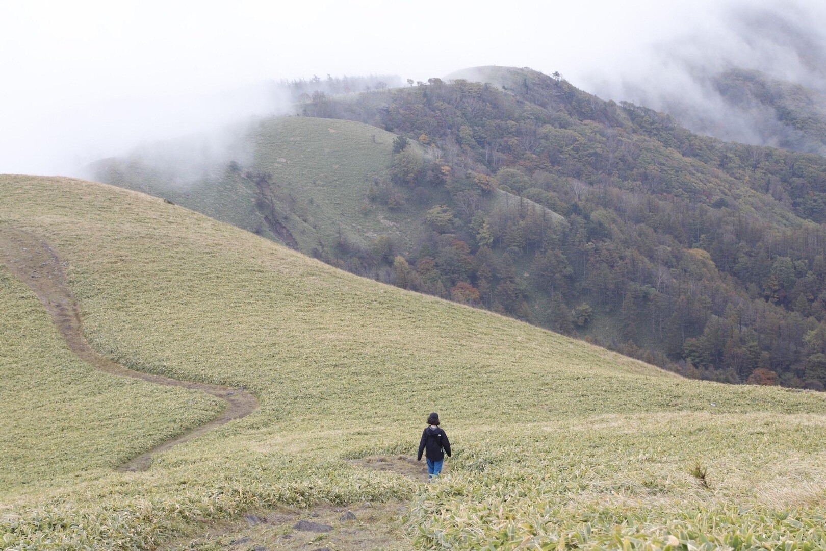 お仕事のロケハンで、車山方面の三峰山へ ... / ayumiさんのモーメント | YAMAP / ヤマップ