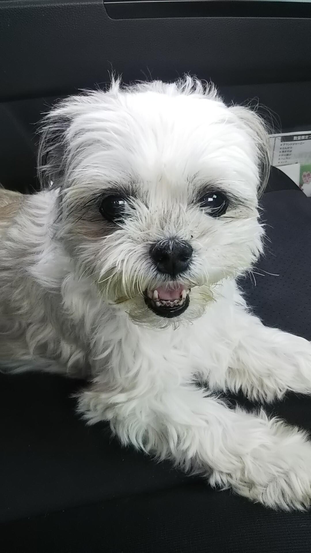 GWも終盤☺️ ここ1週間前から ... / はくたかさんのモーメント | YAMAP / ヤマップ