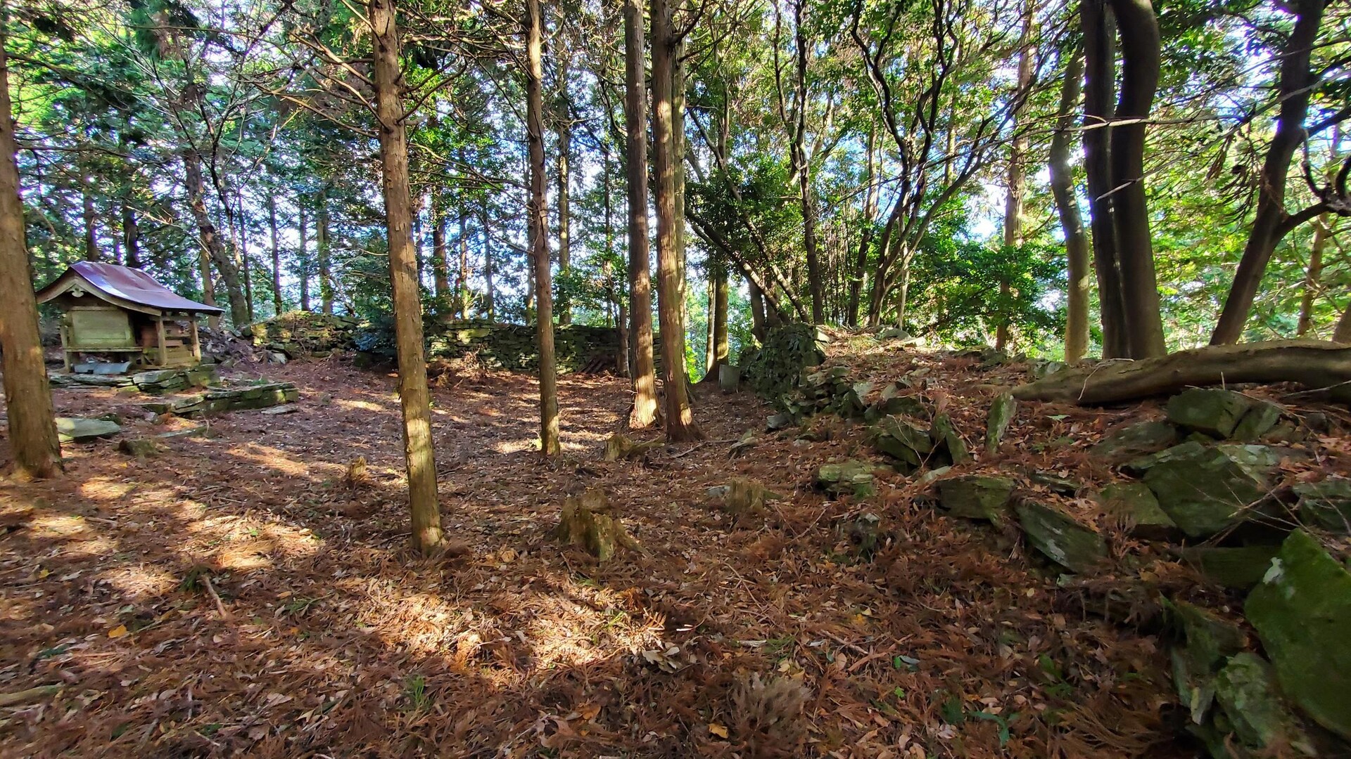 PHトレジョグ 雨乞山 / hirobonさんの伊方町 東部の活動データ | YAMAP / ヤマップ