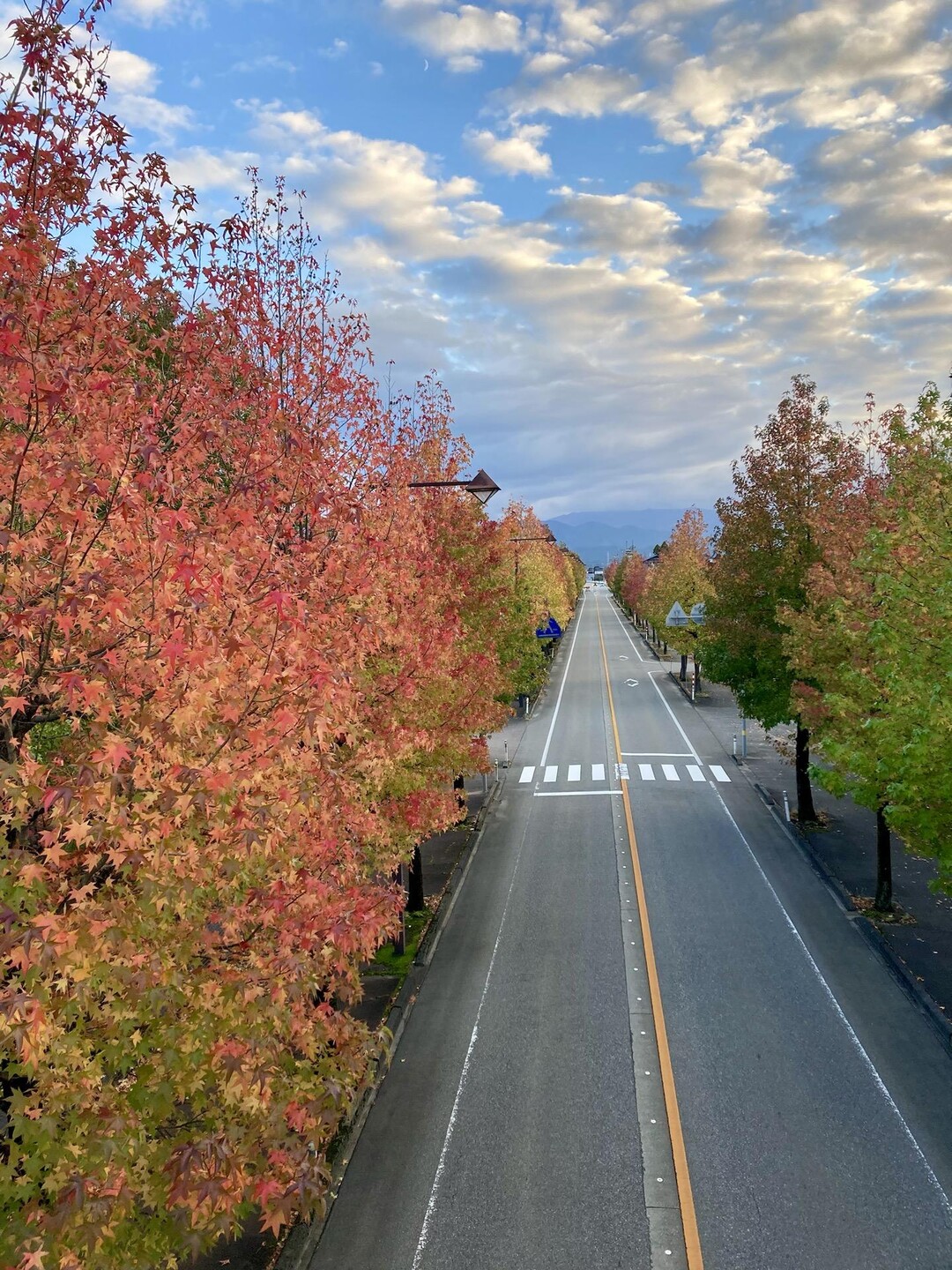 素敵な天色🩵空が続いて〜😊 ひょっこ... / emikoroさんのモーメント | YAMAP / ヤマップ
