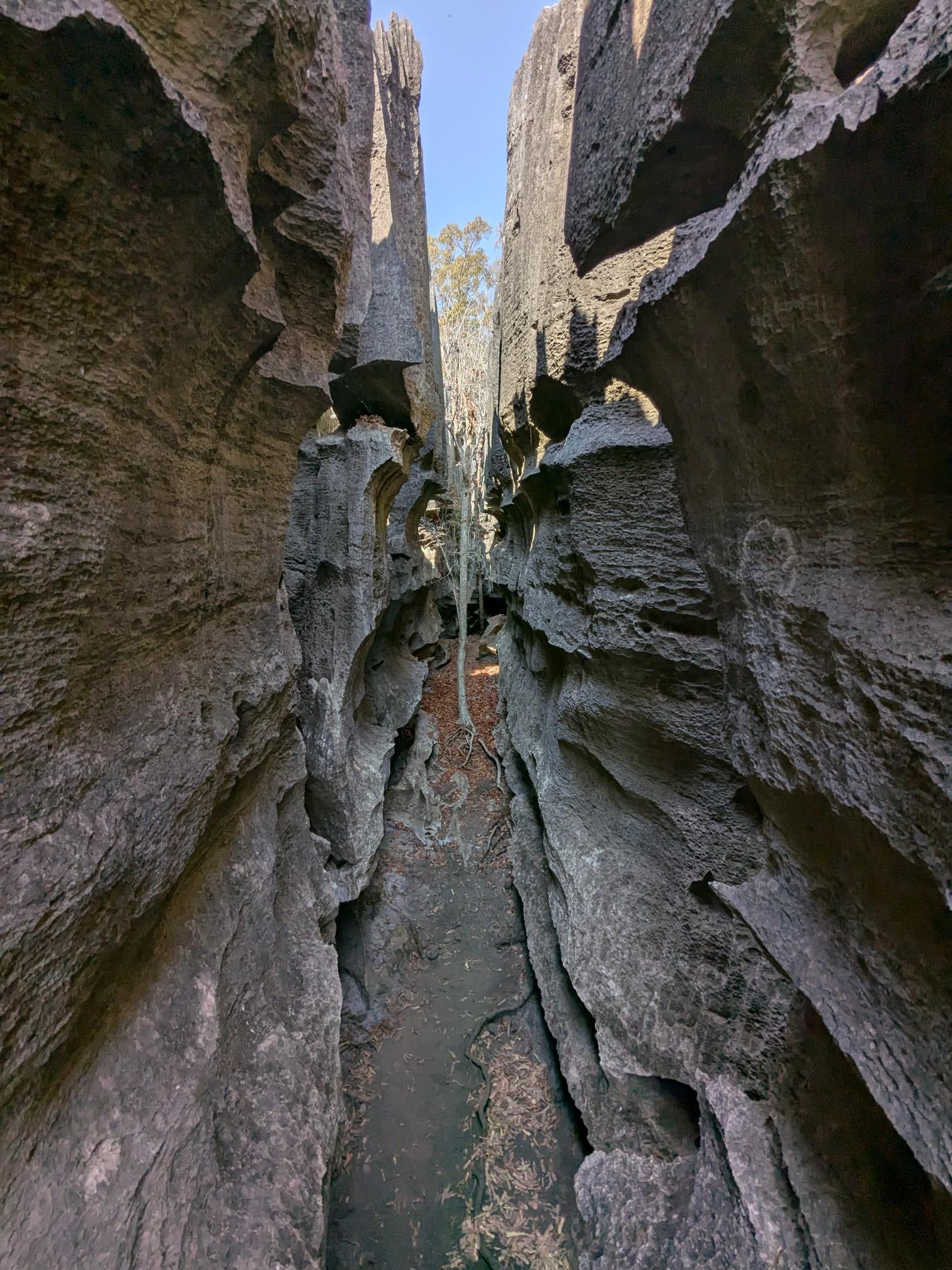 Small Tsingy Circuit (Andamozavaky) 🇲🇬 / Tkさんのハイキングの活動データ | YAMAP / ヤマップ