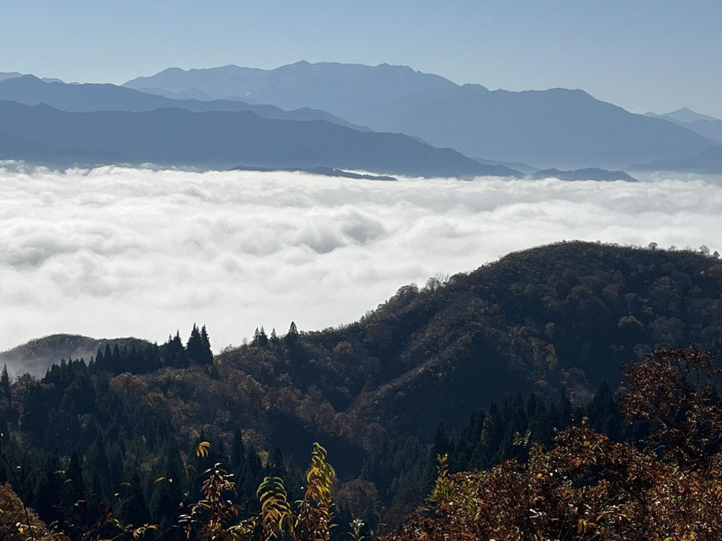 御嶽山・FM塔ピストン / atsuさんの登山の活動データ | YAMAP / ヤマップ