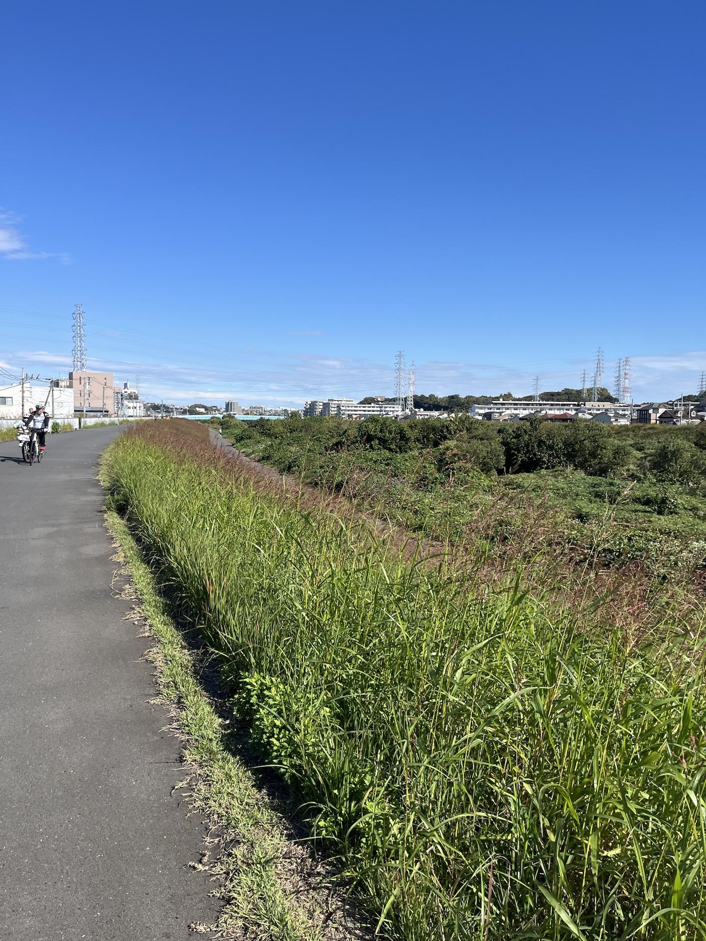 鶴見川流域ウォーキングMAP（尾根歩き編）-2025-11-03 / underwaterさんの鶴見川流域ウォーキングMAP（尾根歩き編）の ...