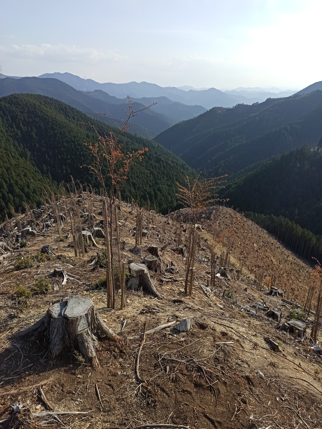 kost_japさんの投稿したフィールドメモ | YAMAP / ヤマップ