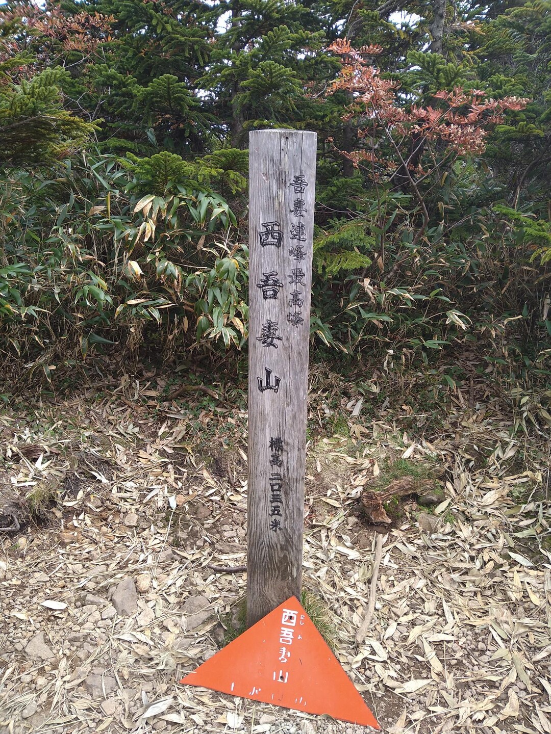 まなっPさんの投稿したフィールドメモ | YAMAP / ヤマップ