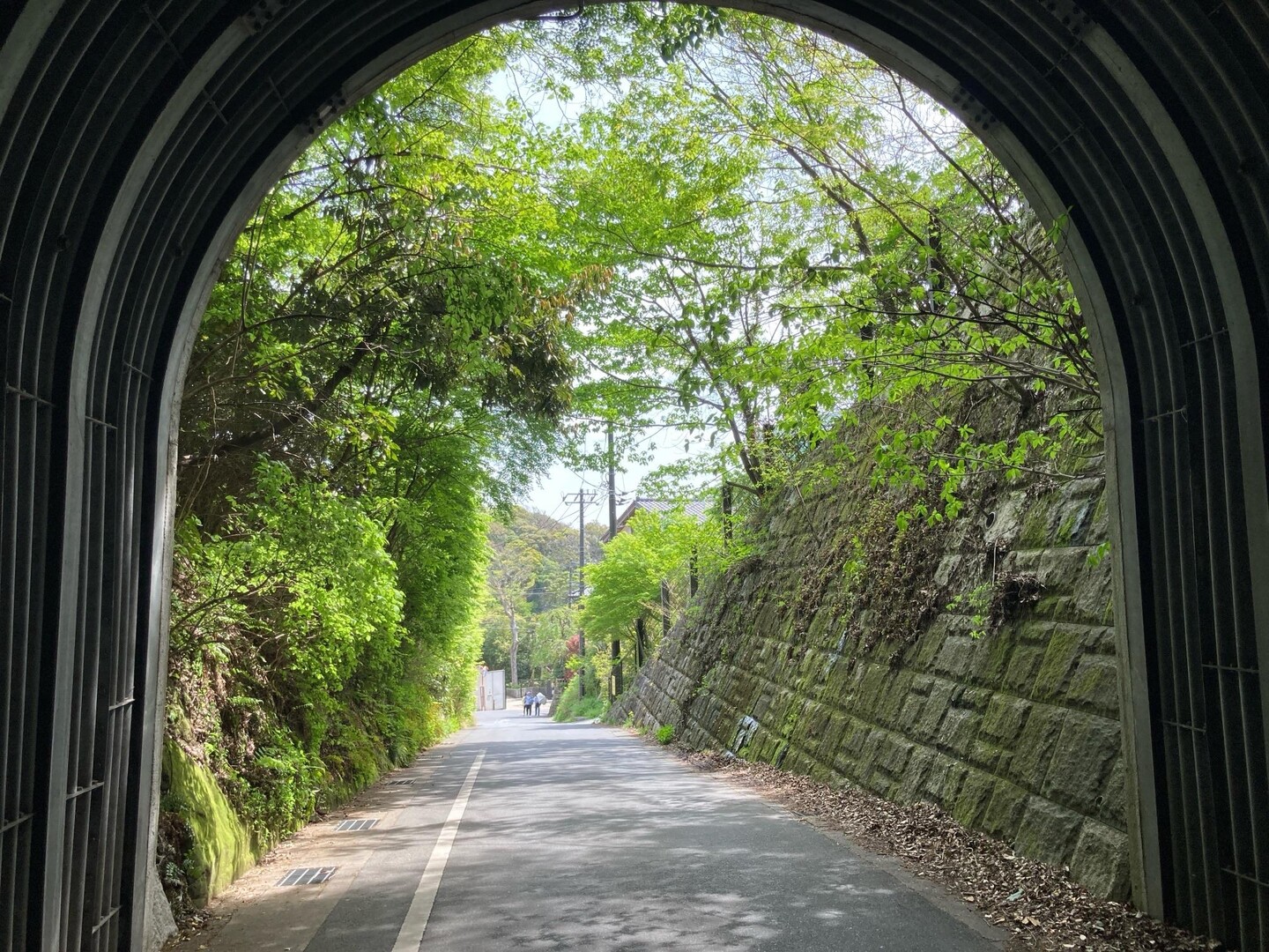 北鎌倉駅ー浄智寺ー銭洗弁天ー鎌倉駅ゆるハイク / Yasutadaさんの鎌倉アルプス（大平山・天台山）の活動日記 | YAMAP / ヤマップ