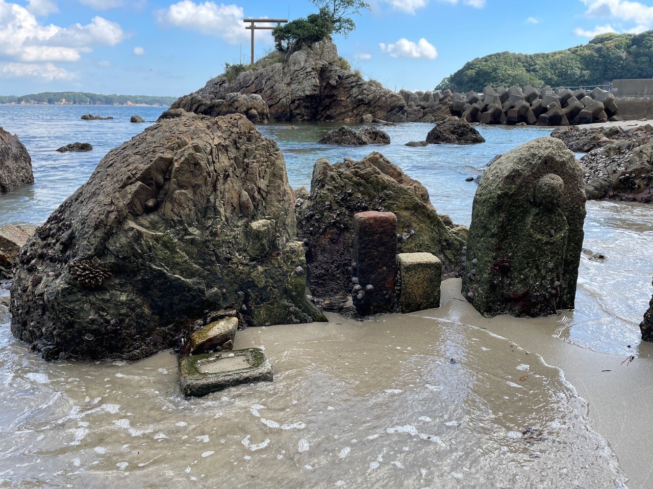 金比羅山 / hana356さんの志摩市の活動データ | YAMAP / ヤマップ