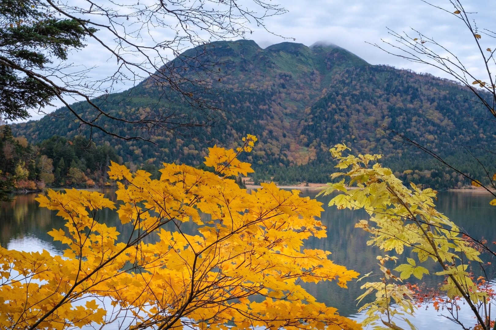 尾瀬沼一周ミノブチ岳経由 大清水駐車場 / hamさんの尾瀬・燧ヶ岳の活動データ | YAMAP / ヤマップ