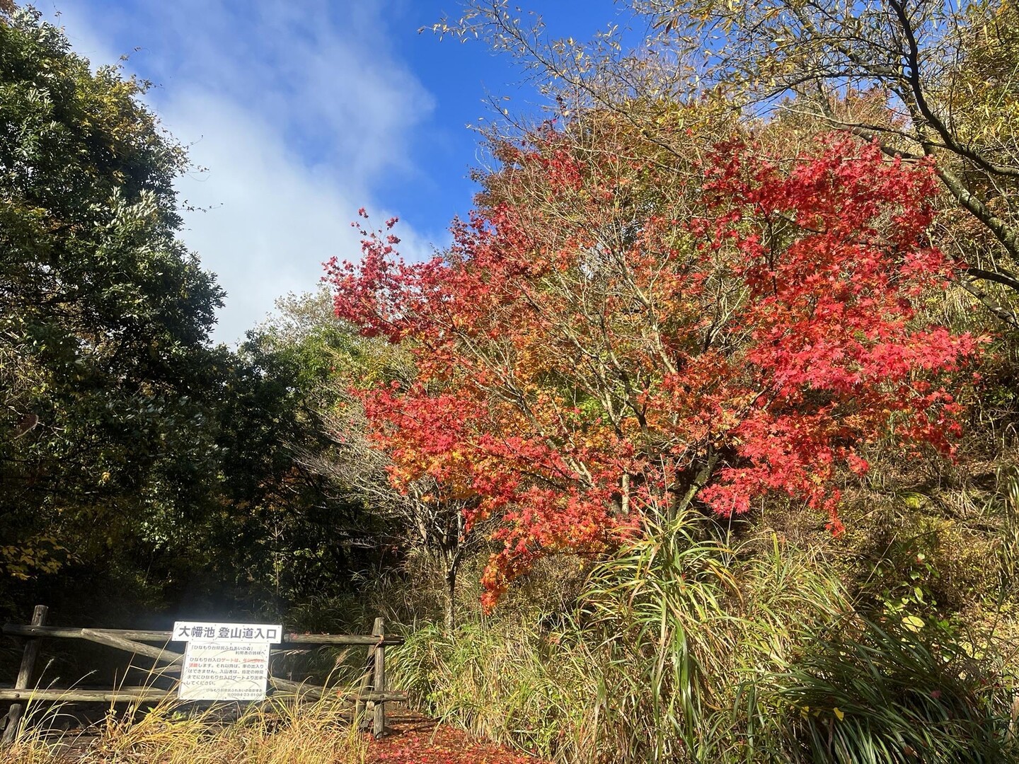 大幡山・大幡前山・丸岡山 / MADさんの霧島山・韓国岳・高千穂峰・夷守岳・烏帽子岳の活動データ | YAMAP / ヤマップ