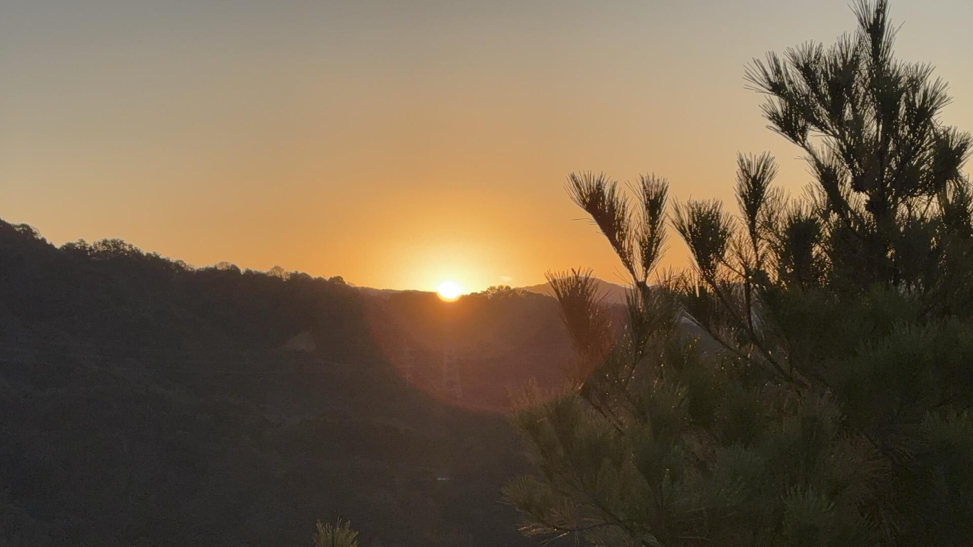 高尾山（初日の出） / U’Zさんの呉娑々宇山・高尾山（広島県）・日浦山の活動データ | YAMAP / ヤマップ