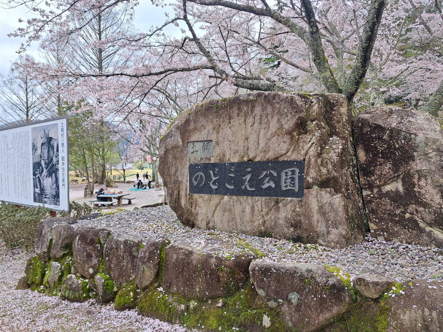 花見のダメ押しで土師ダムへ🌸 昨夜の... / DSHさんのモーメント | YAMAP / ヤマップ