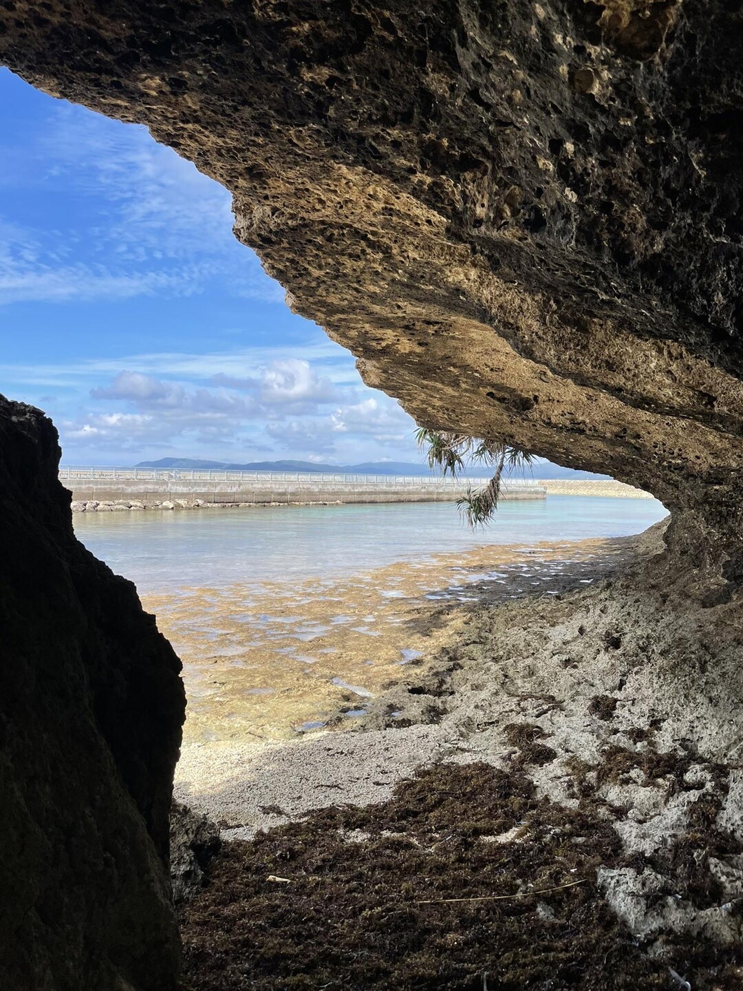 今日は職場からの派遣で ピーチグリーンで... / sae.irisさんのモーメント | YAMAP / ヤマップ