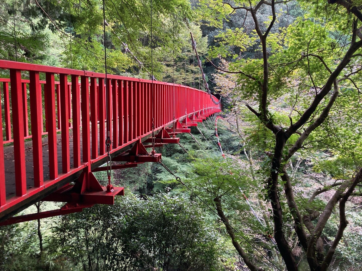 🦉梟ヶ城址展望台⛰️ / tom 〜還暦低山ハイカー〜さんの六所山・炮烙山の活動データ | YAMAP / ヤマップ