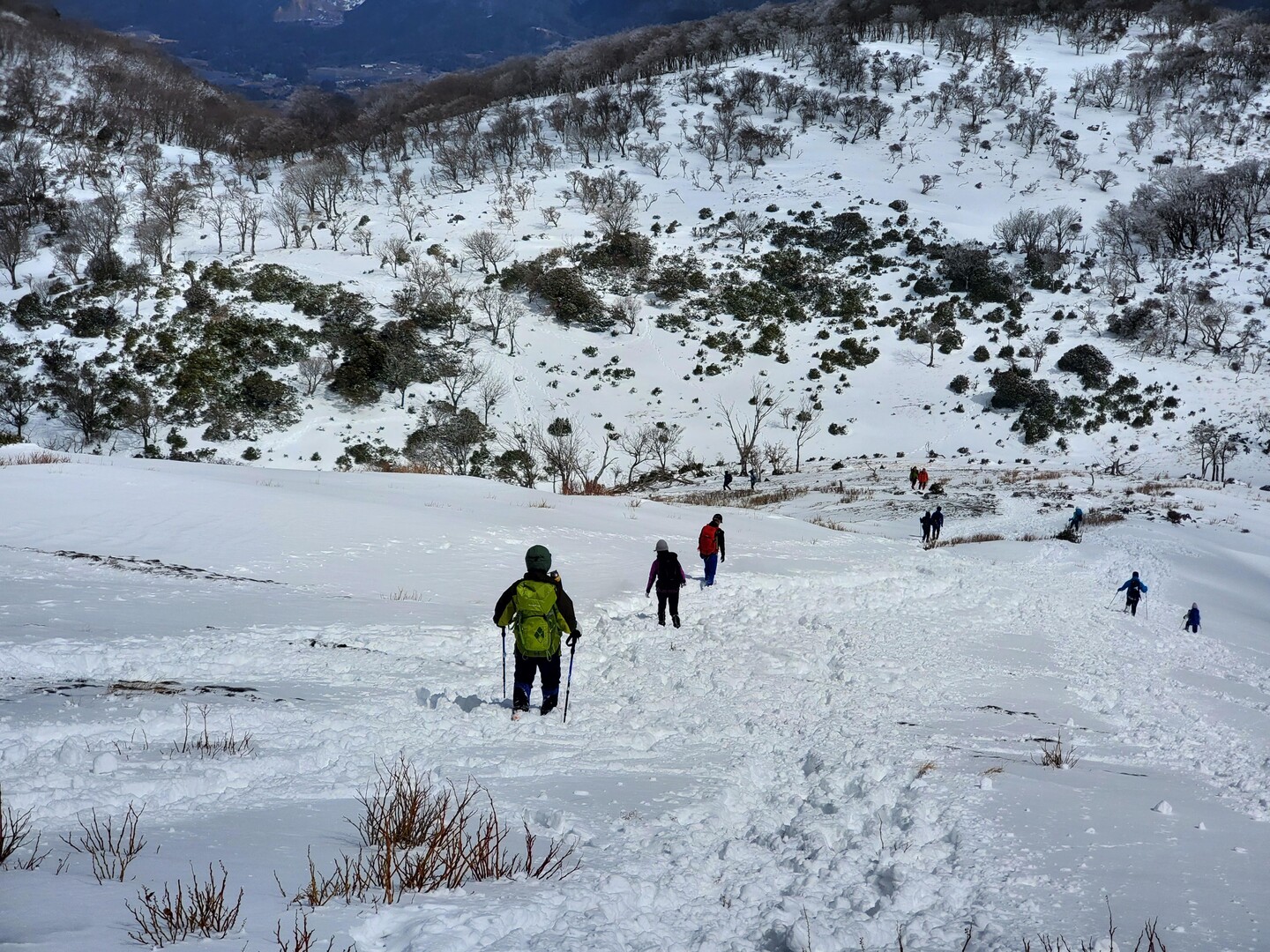 藤原岳 / KATSUYA🍀さんの藤原岳・御池岳の活動日記 | YAMAP / ヤマップ