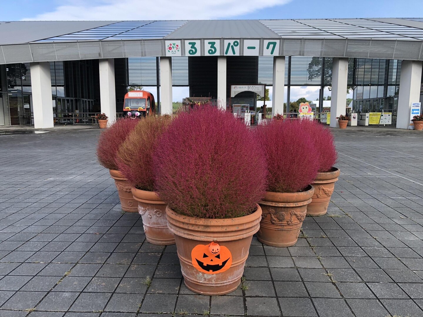 昨日はコテージに泊まって 初めてのバーベ... / hideさんのモーメント | YAMAP / ヤマップ