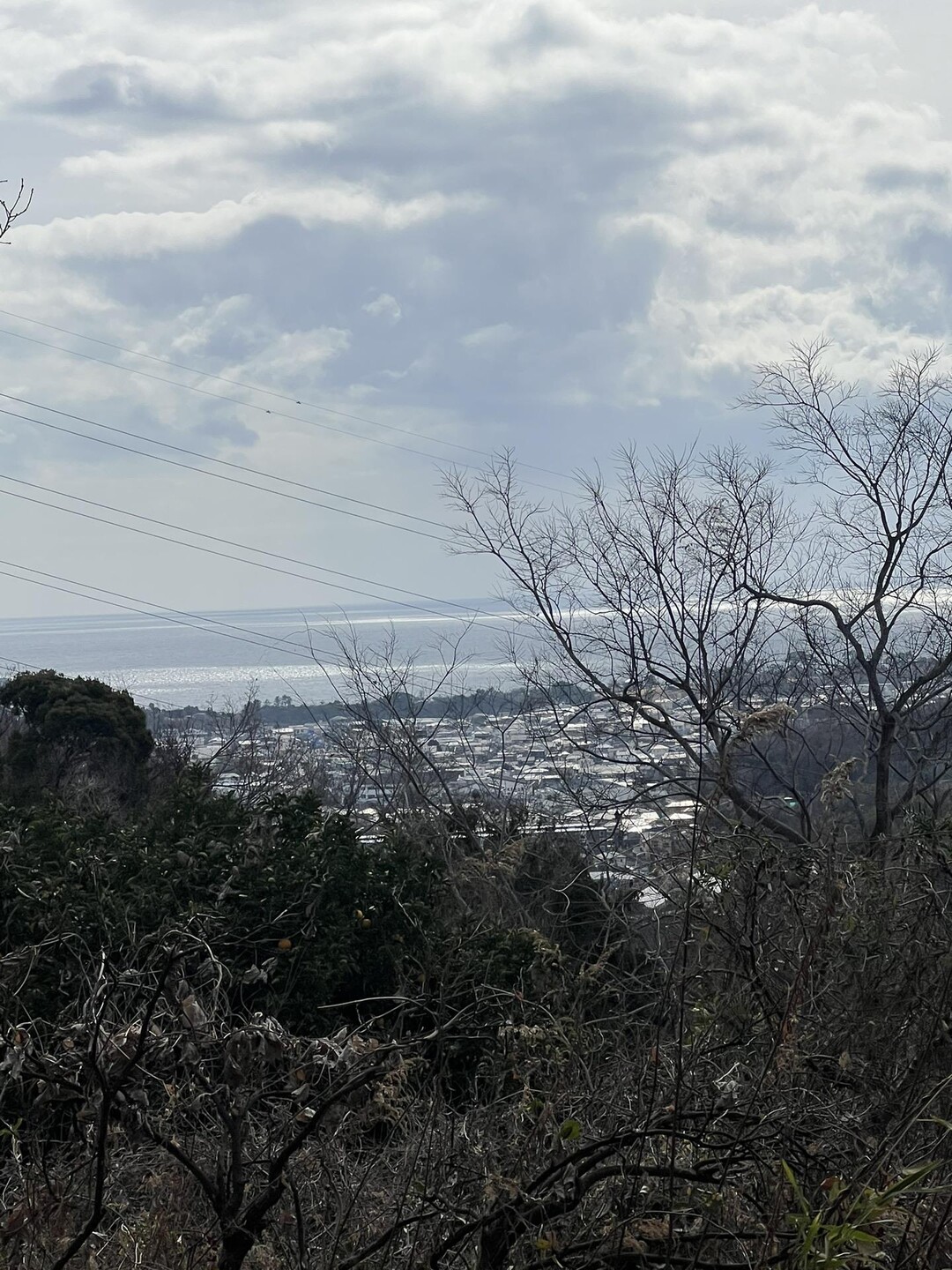 Amy(エイミー)さんの投稿したフィールドメモ | YAMAP / ヤマップ