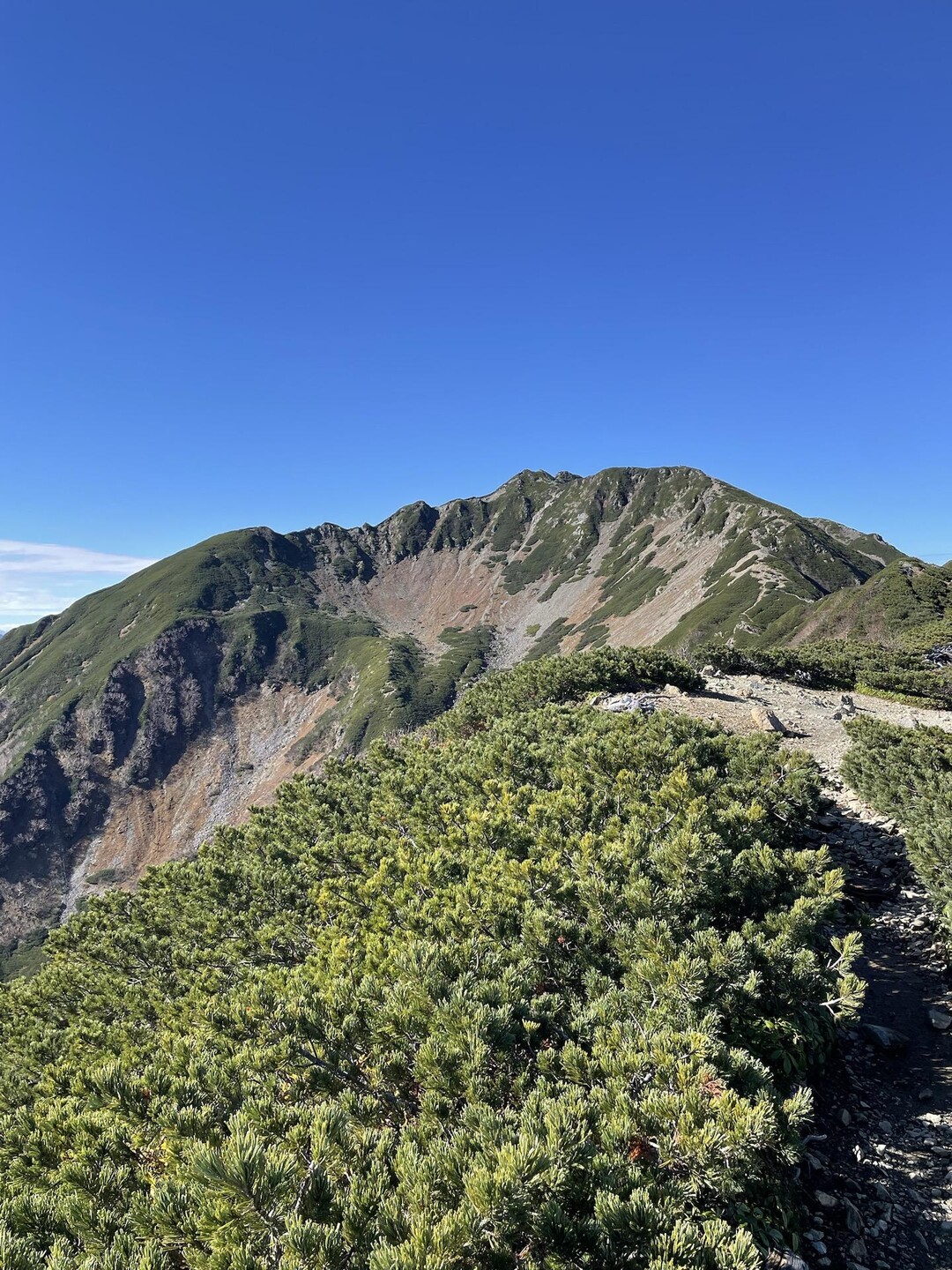 小仙丈ヶ岳・仙丈ヶ岳 / Yonepさんの仙丈ヶ岳・伊那荒倉岳の活動データ | YAMAP / ヤマップ