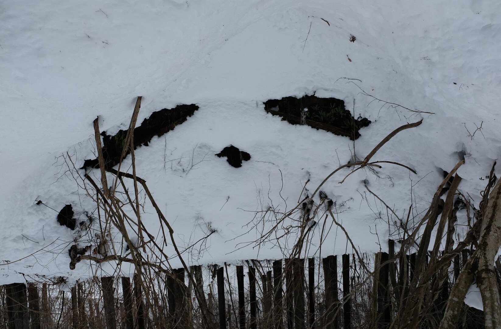 ’24・1・31 ⛄ パンダ現わる / SMさんのモーメント | YAMAP / ヤマップ