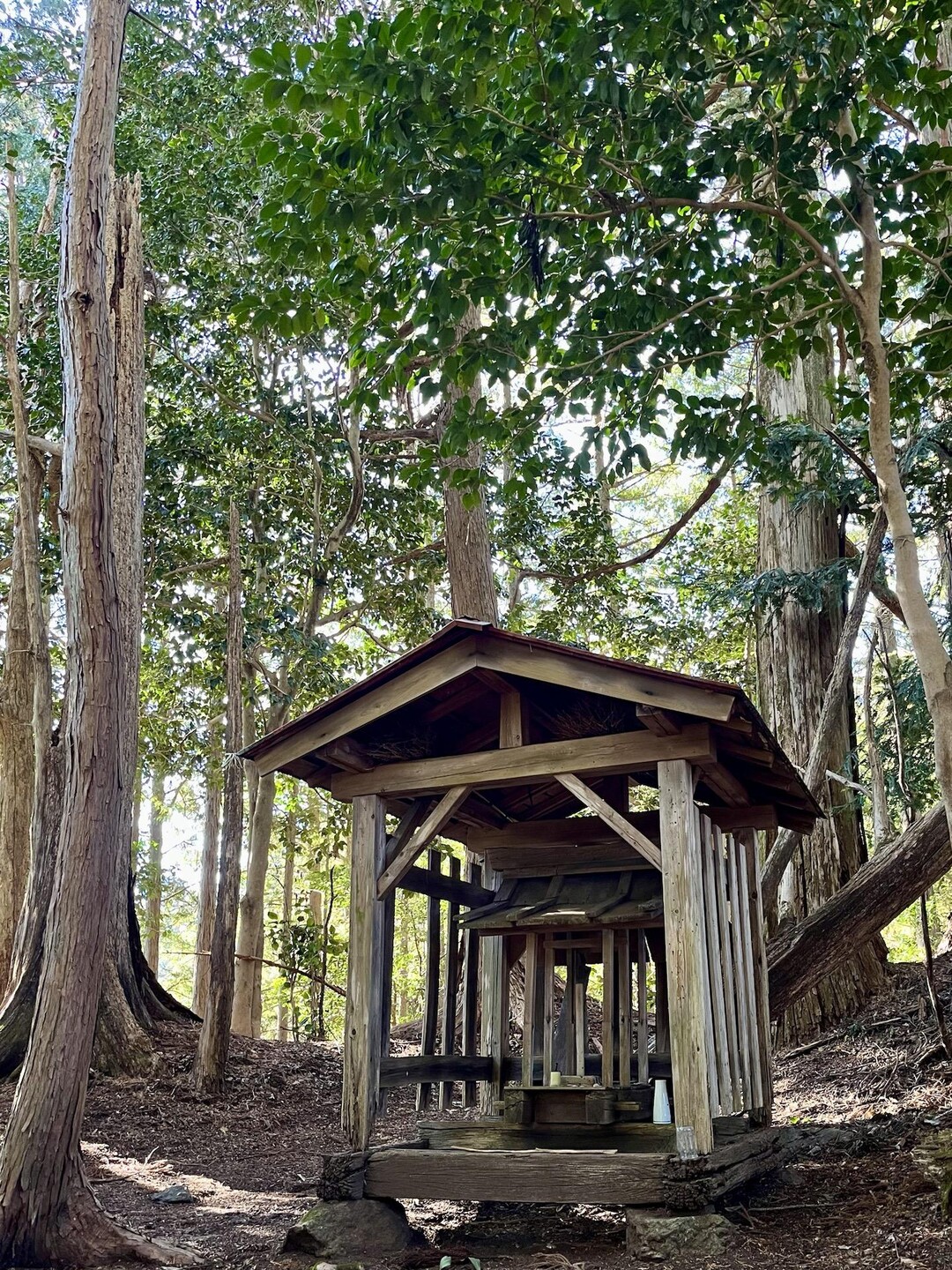 飯能アルプス13座 / Shinyaさんのヤマノススメ巡礼マップ（天覚山・大高山・子の権現）の活動データ | YAMAP / ヤマップ