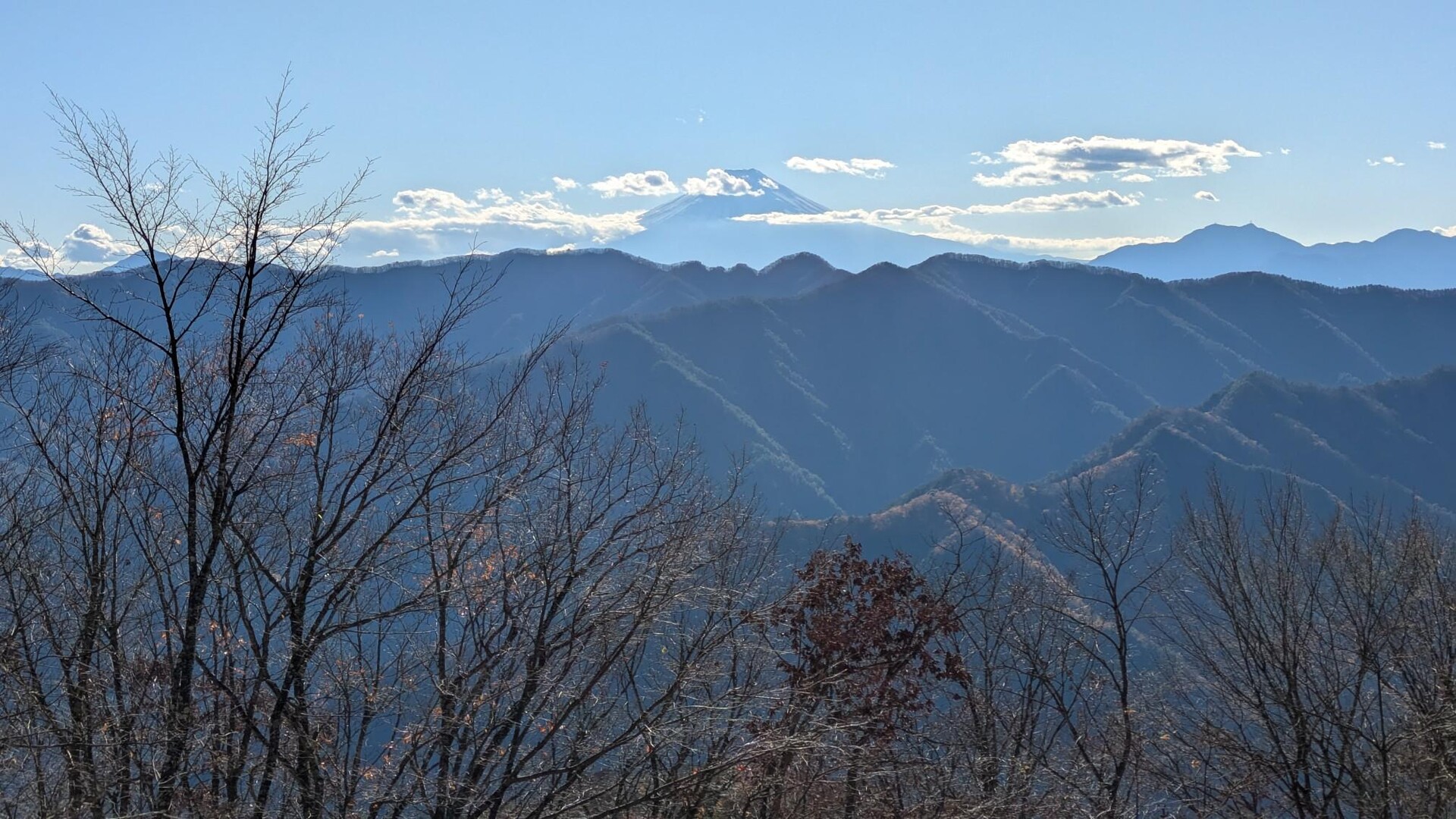 笹尾根と富士山と温泉と…(京岳BS→数馬BS) / shimotakaさんの三頭山・槇寄山・土俵岳の活動データ | YAMAP / ヤマップ