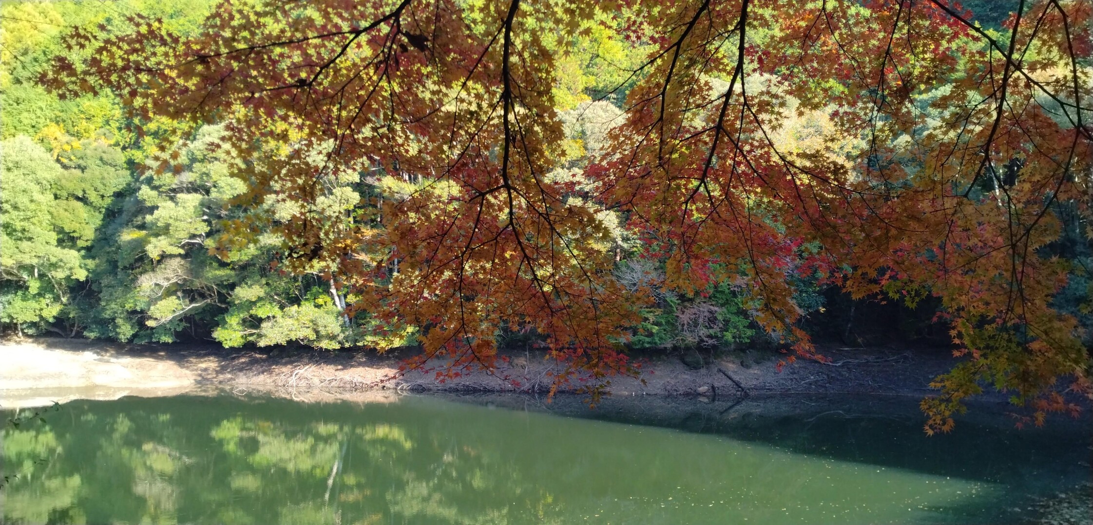 熊野古道 伊勢路①バッジ獲得ミッション① / yuniiiさんの熊野古道 伊勢路①の活動データ | YAMAP / ヤマップ