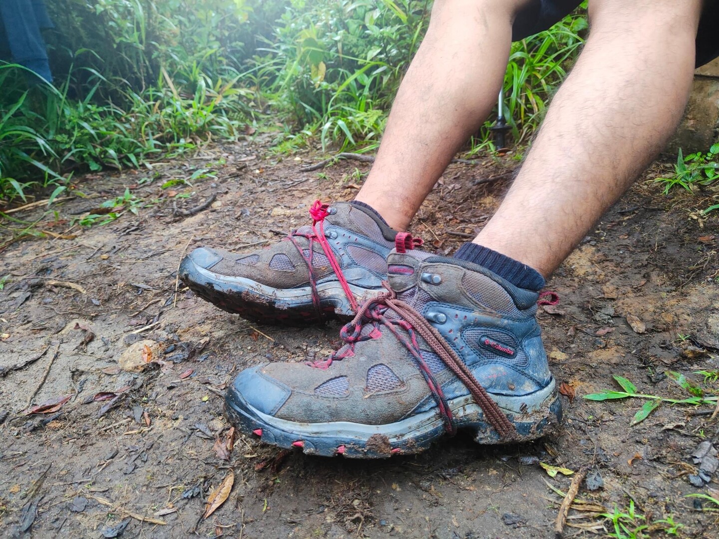 「TRAIL」に行くだけだったのに…戦っ... / Corneさんのモーメント | YAMAP / ヤマップ