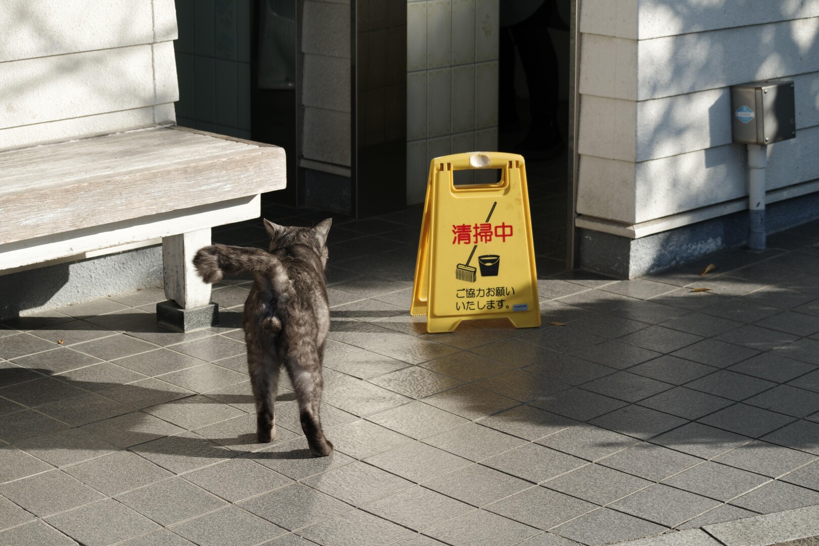 尾道さんぽ その13 / koroさんの尾道市の活動データ | YAMAP / ヤマップ