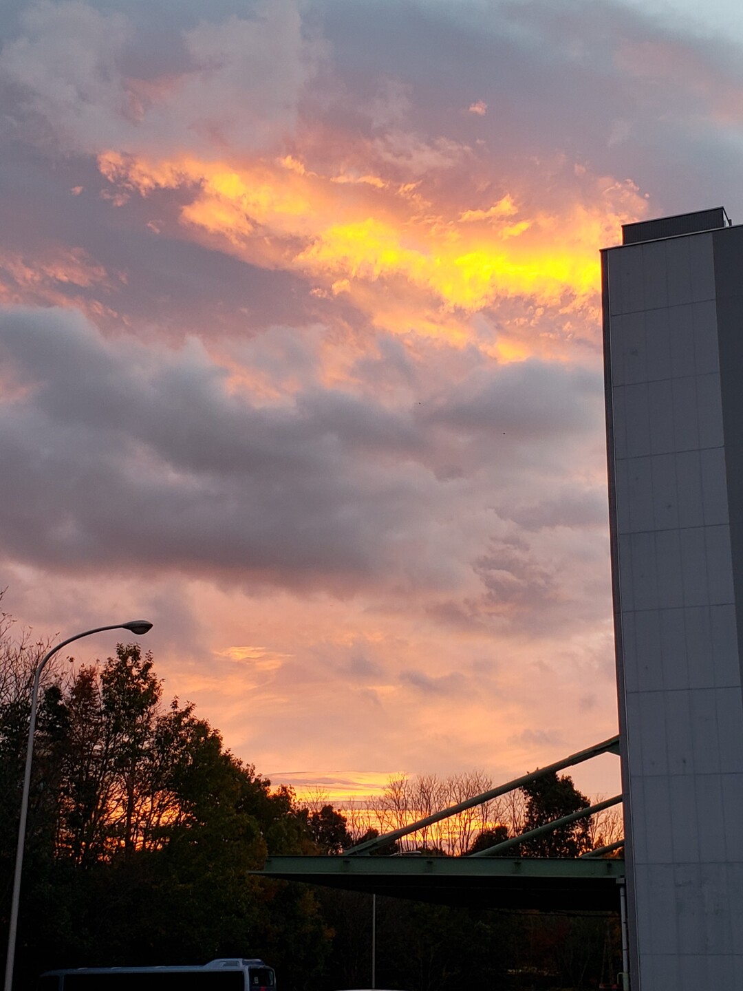 2020.11.19(木) 21:15 / 北京げんじんさんのモーメント | YAMAP / ヤマップ