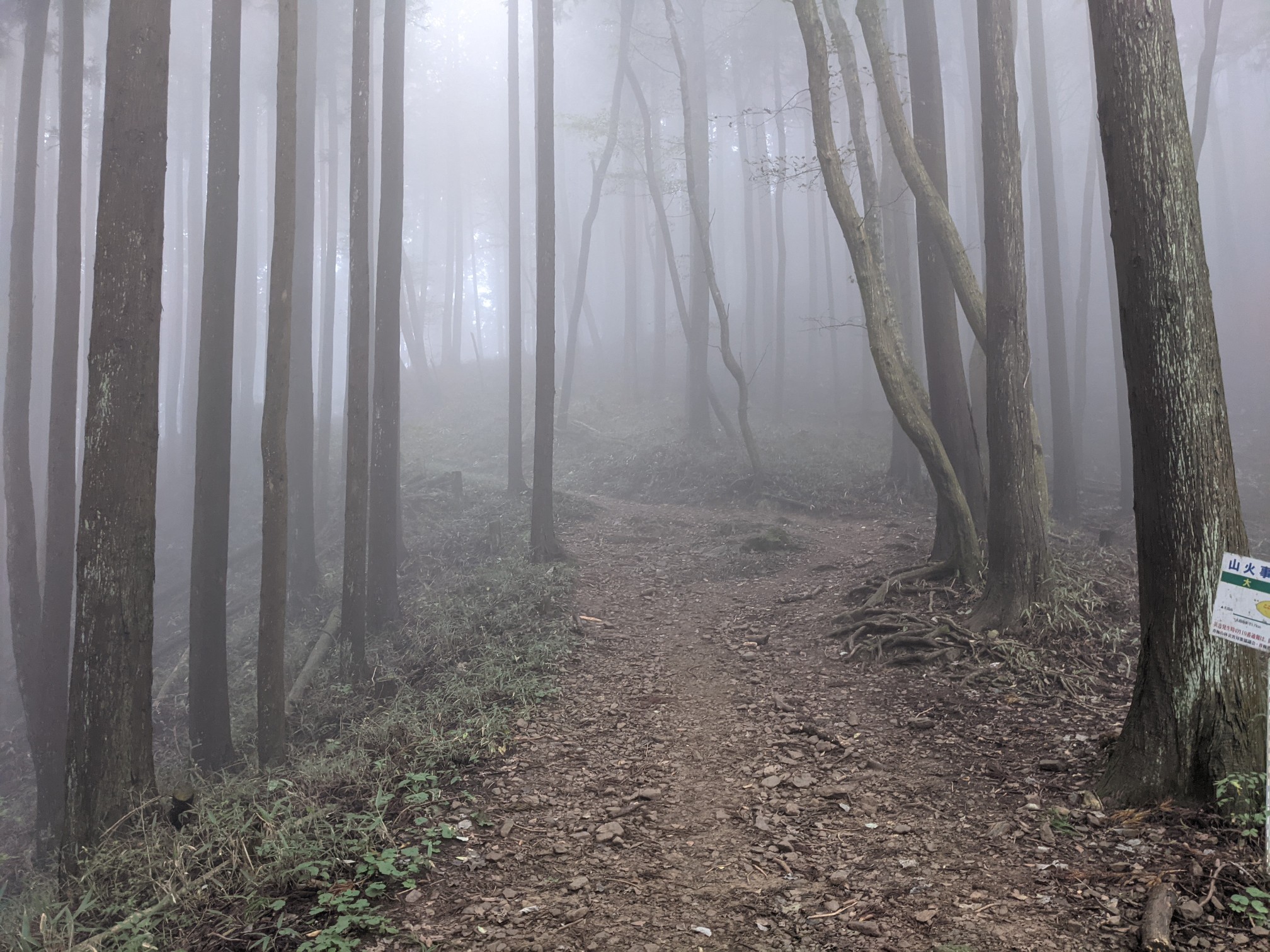 御岳山〜大岳山 ケーブルカー日帰り / Ryoさんの大岳山・御岳山・御前山の活動データ | YAMAP / ヤマップ